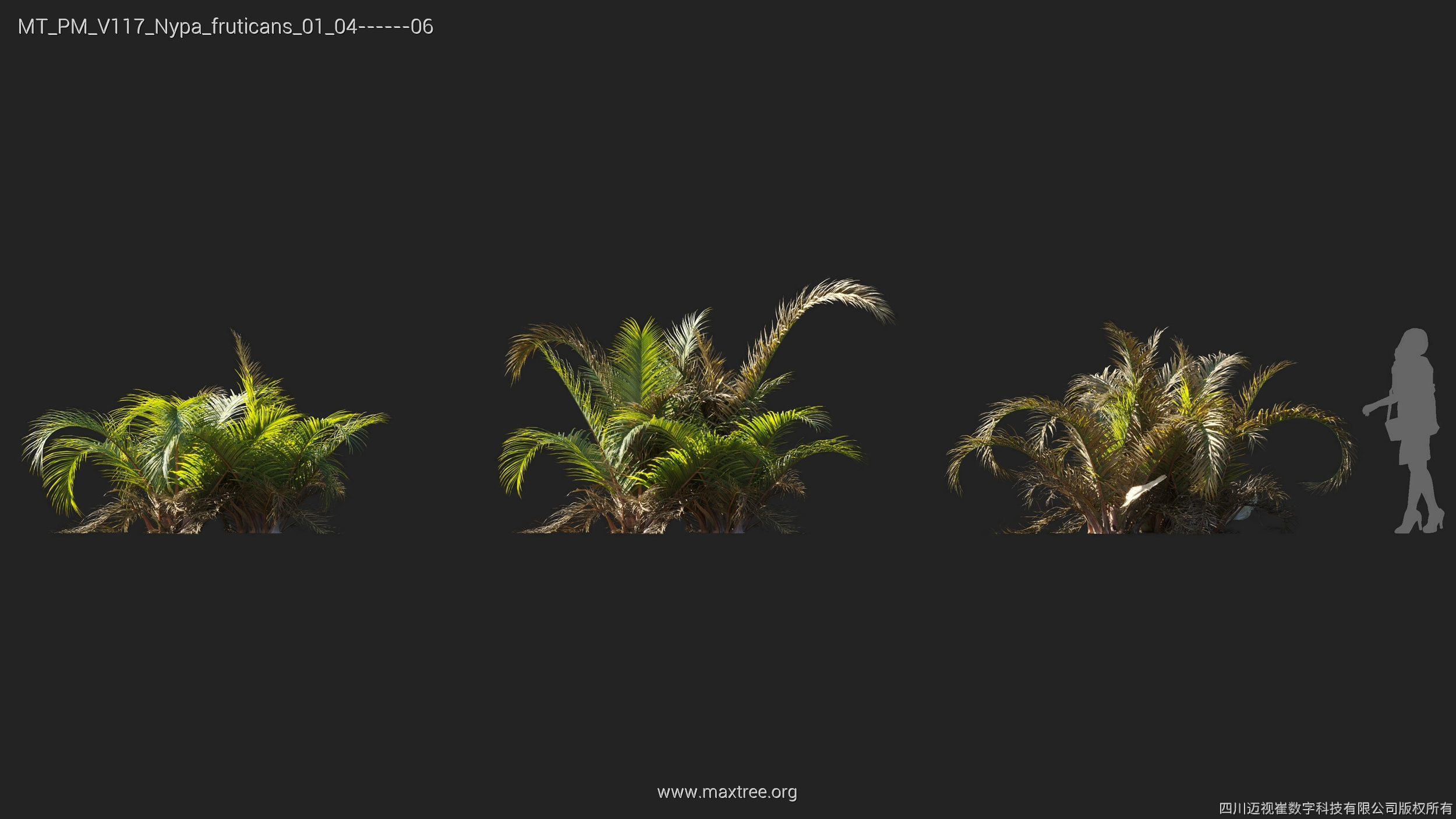 Maxtree Plant Models Vol 117 - Mesh 3D model | CGTrader