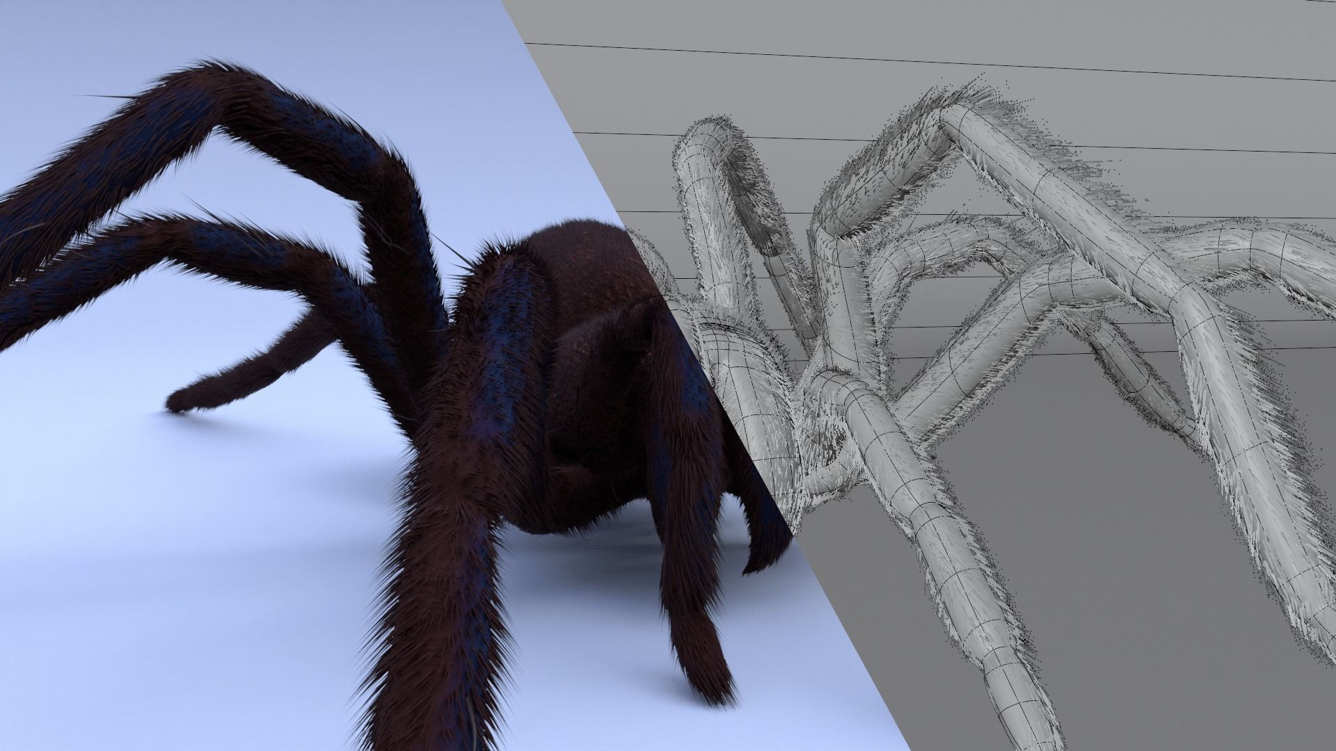 3D model Rigged Spider walk cycle VR / AR / low-poly | CGTrader