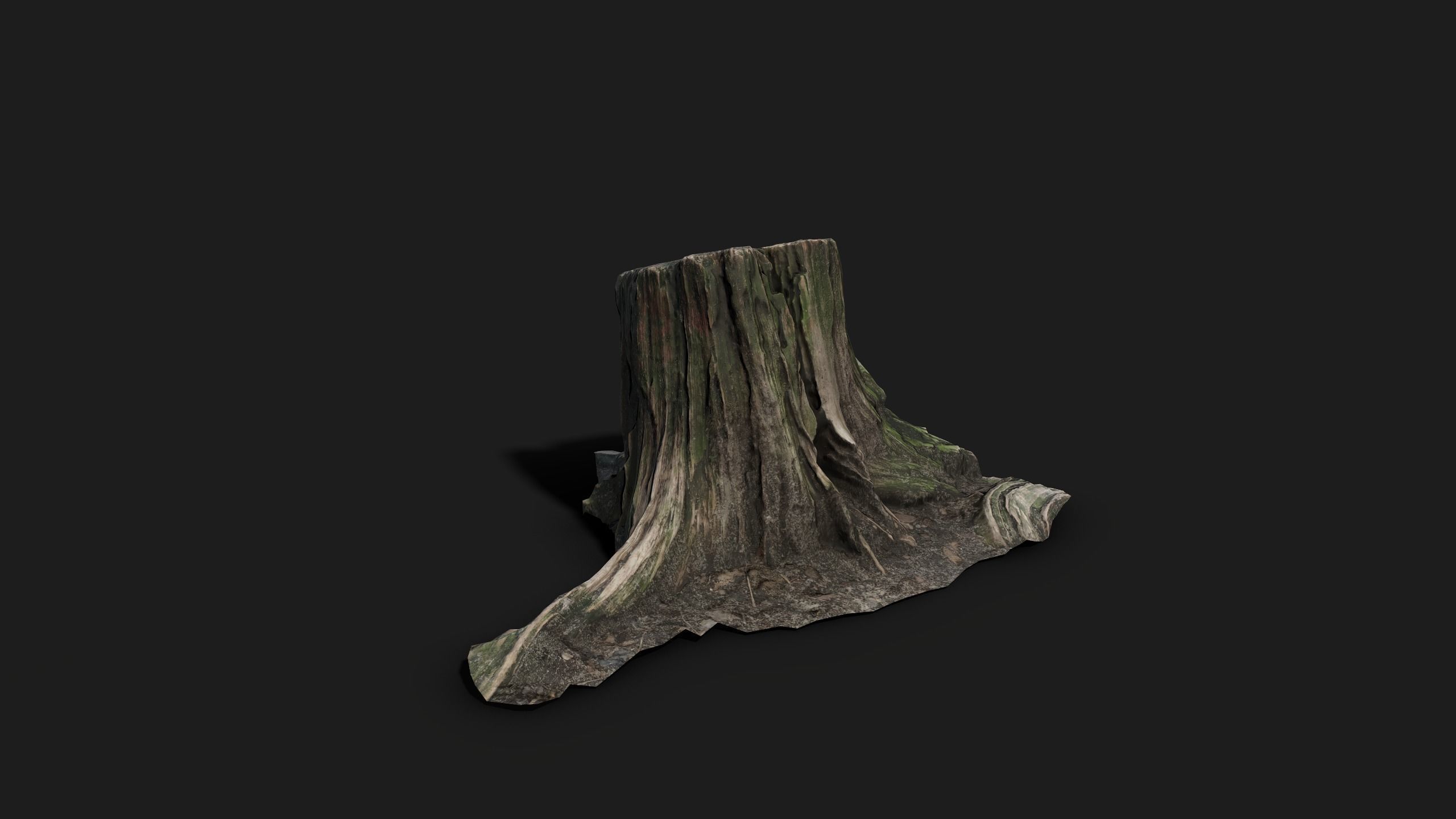 Photoscanned stumb free VR / AR / low-poly 3D model | CGTrader