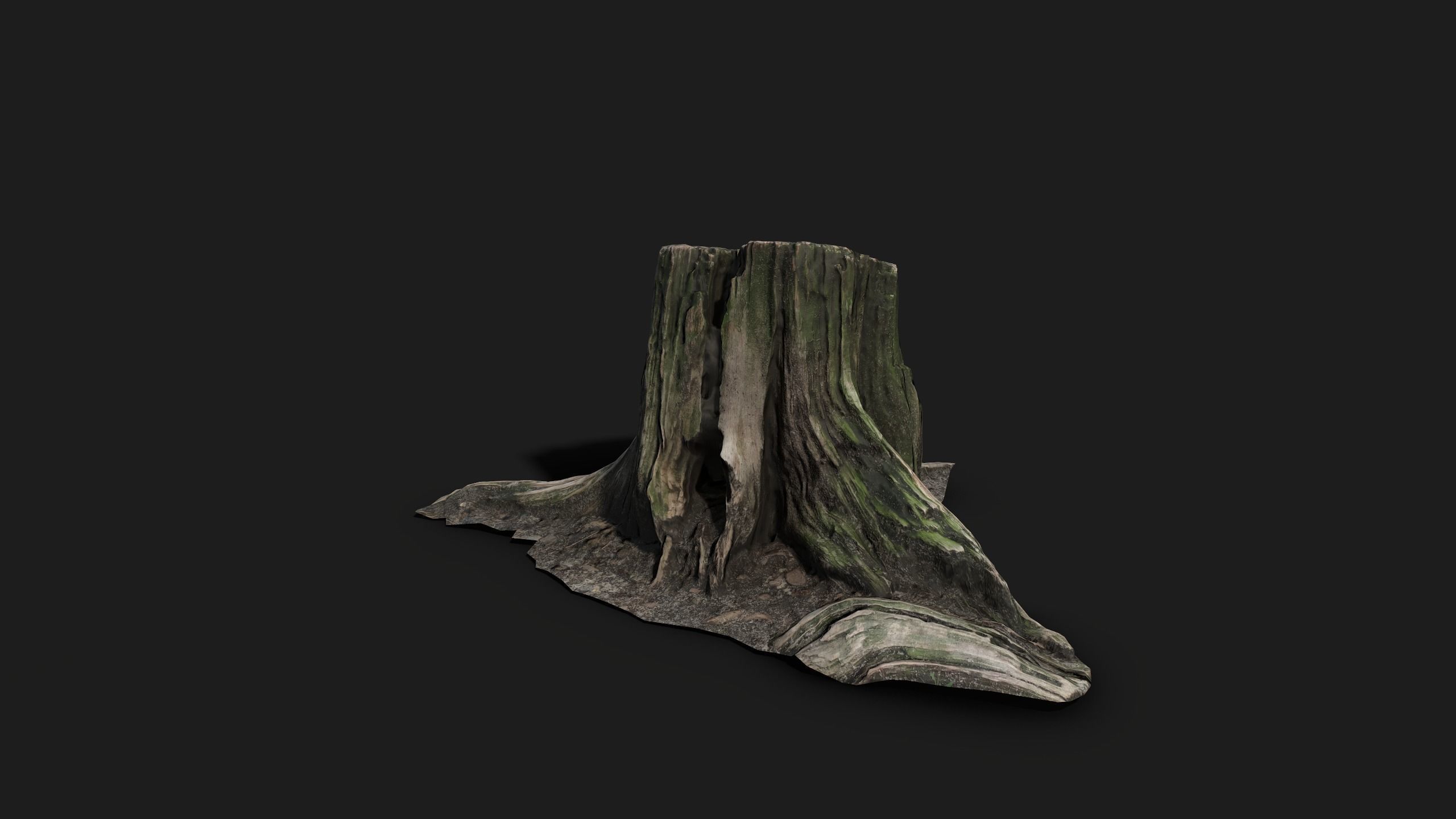 Photoscanned stumb free VR / AR / low-poly 3D model | CGTrader