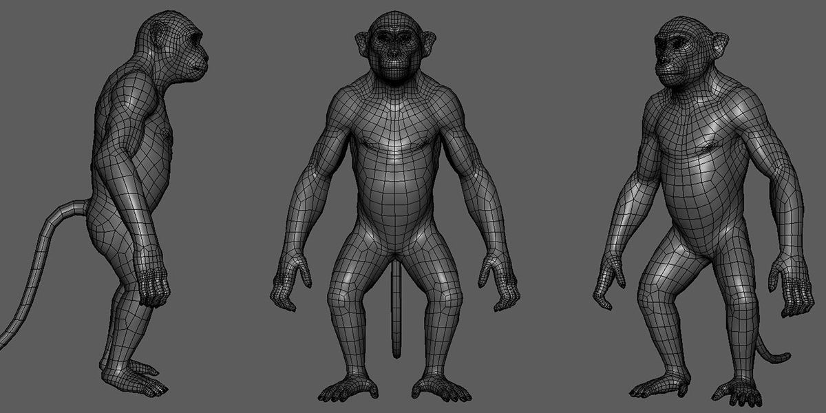 Monkey 3D model | CGTrader