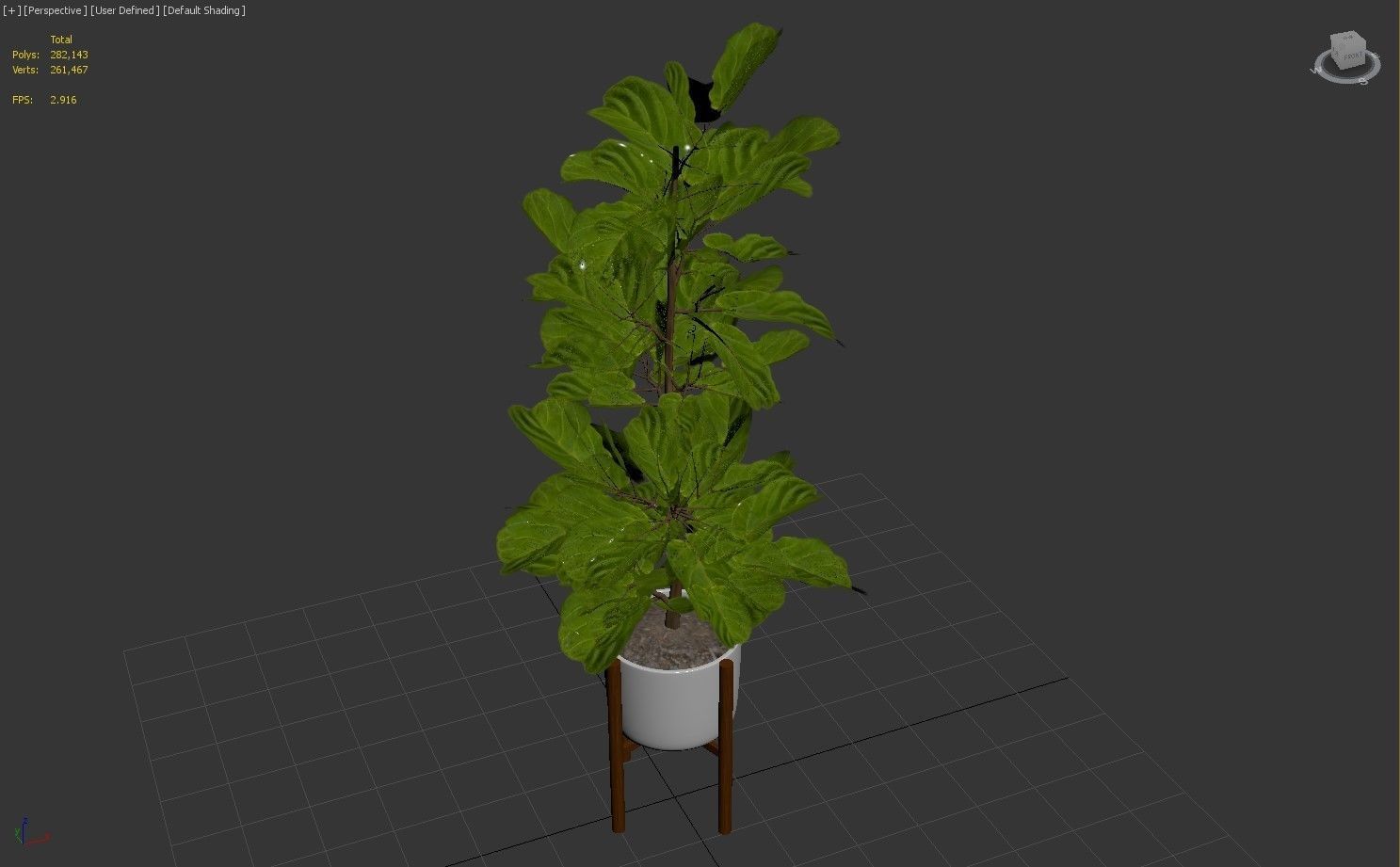 Ficus Lyrata Plant 3D model | CGTrader
