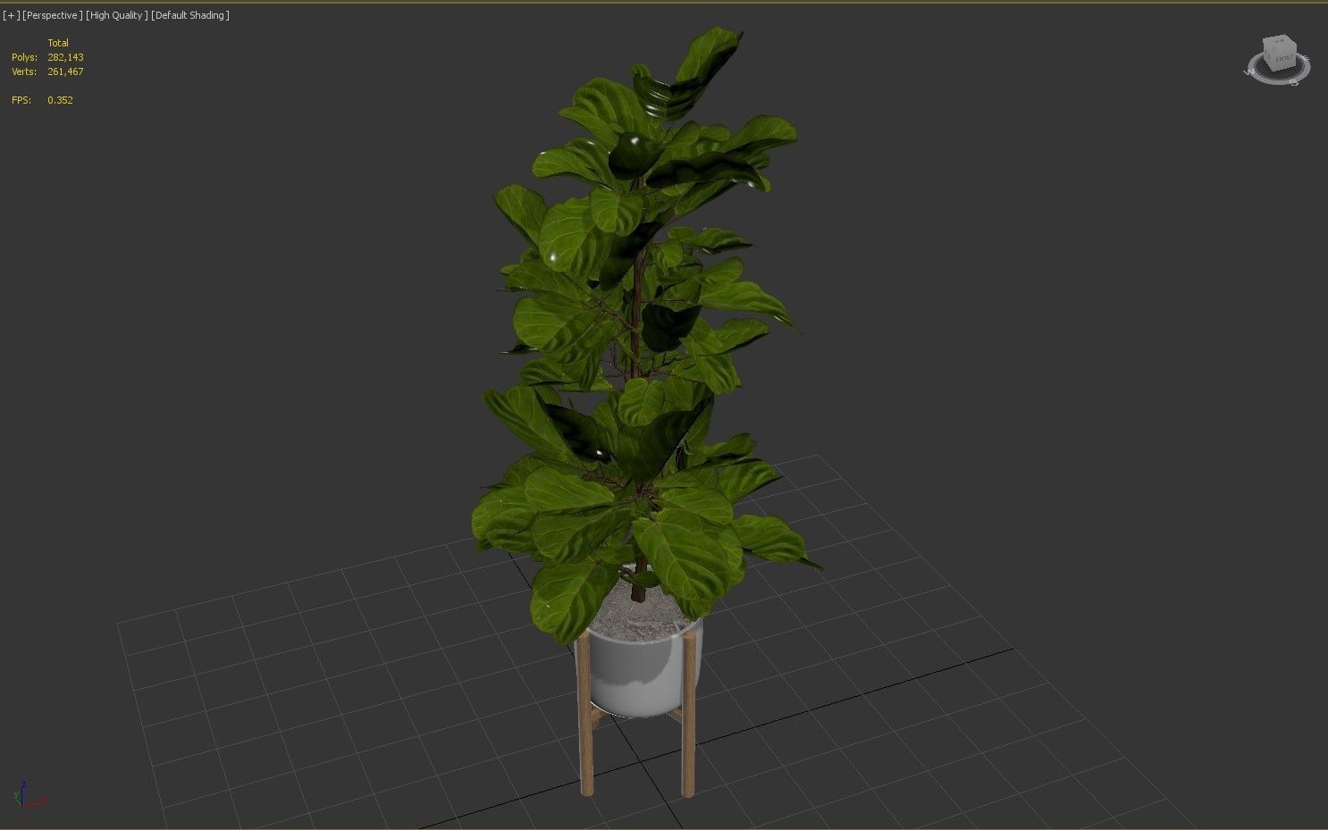 Ficus Lyrata Plant 3D model | CGTrader