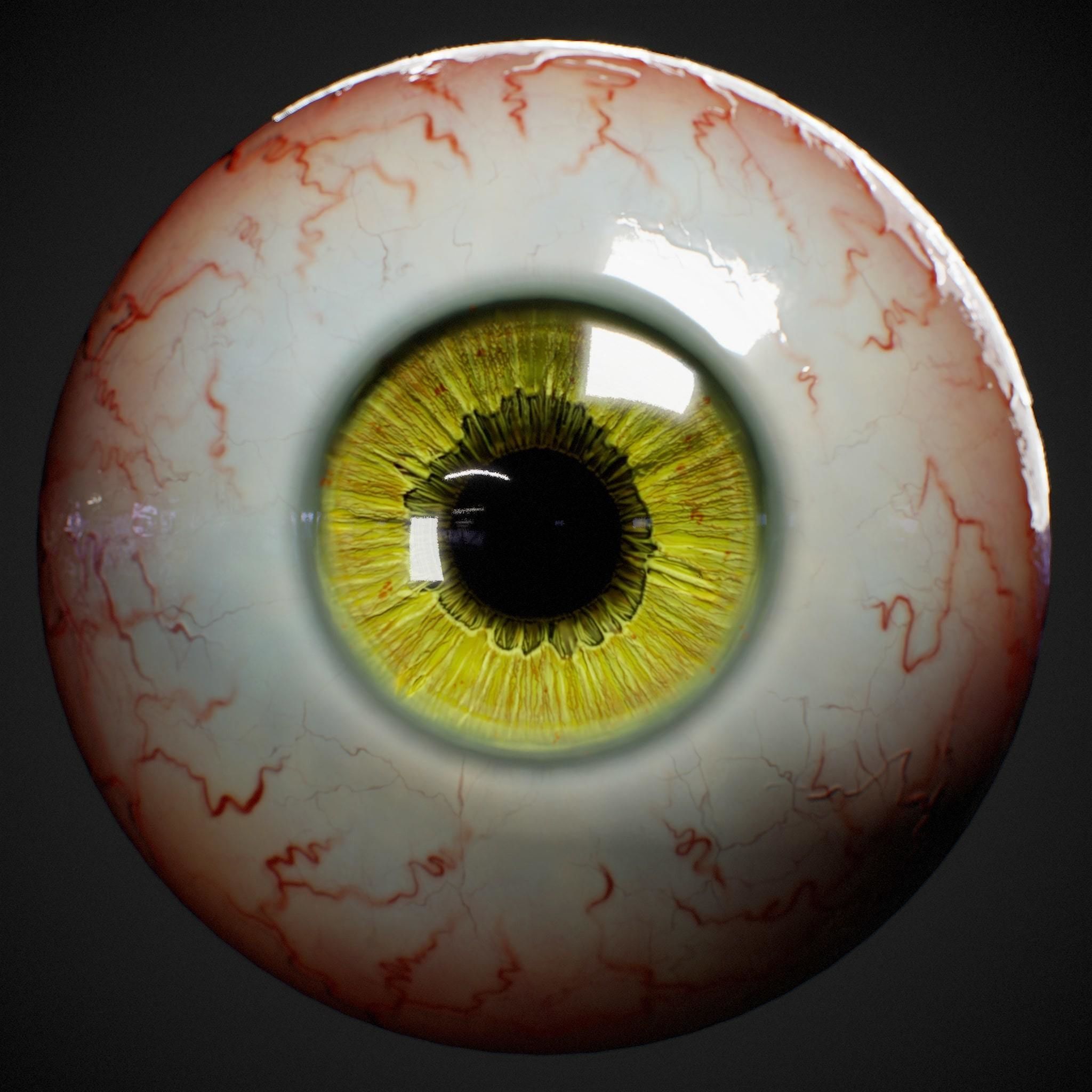 3D model Six Photorealistic Eyes Real-Time 3D Model VR / AR / low-poly ...