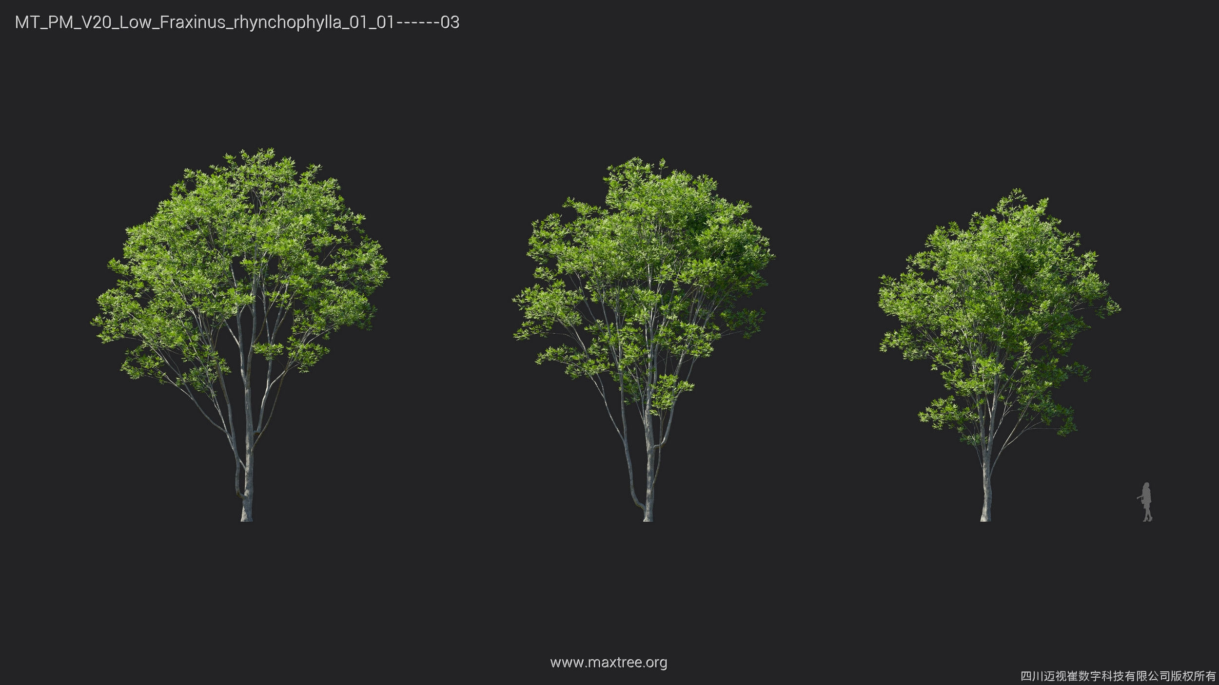 Maxtree Plant Models Vol 20 Low - Mesh 3D model | CGTrader