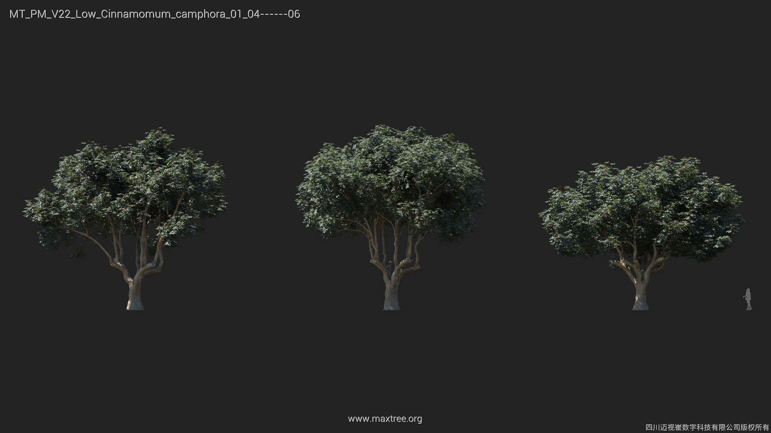 Maxtree Plant Models Vol 22 Low - Mesh 3D model | CGTrader