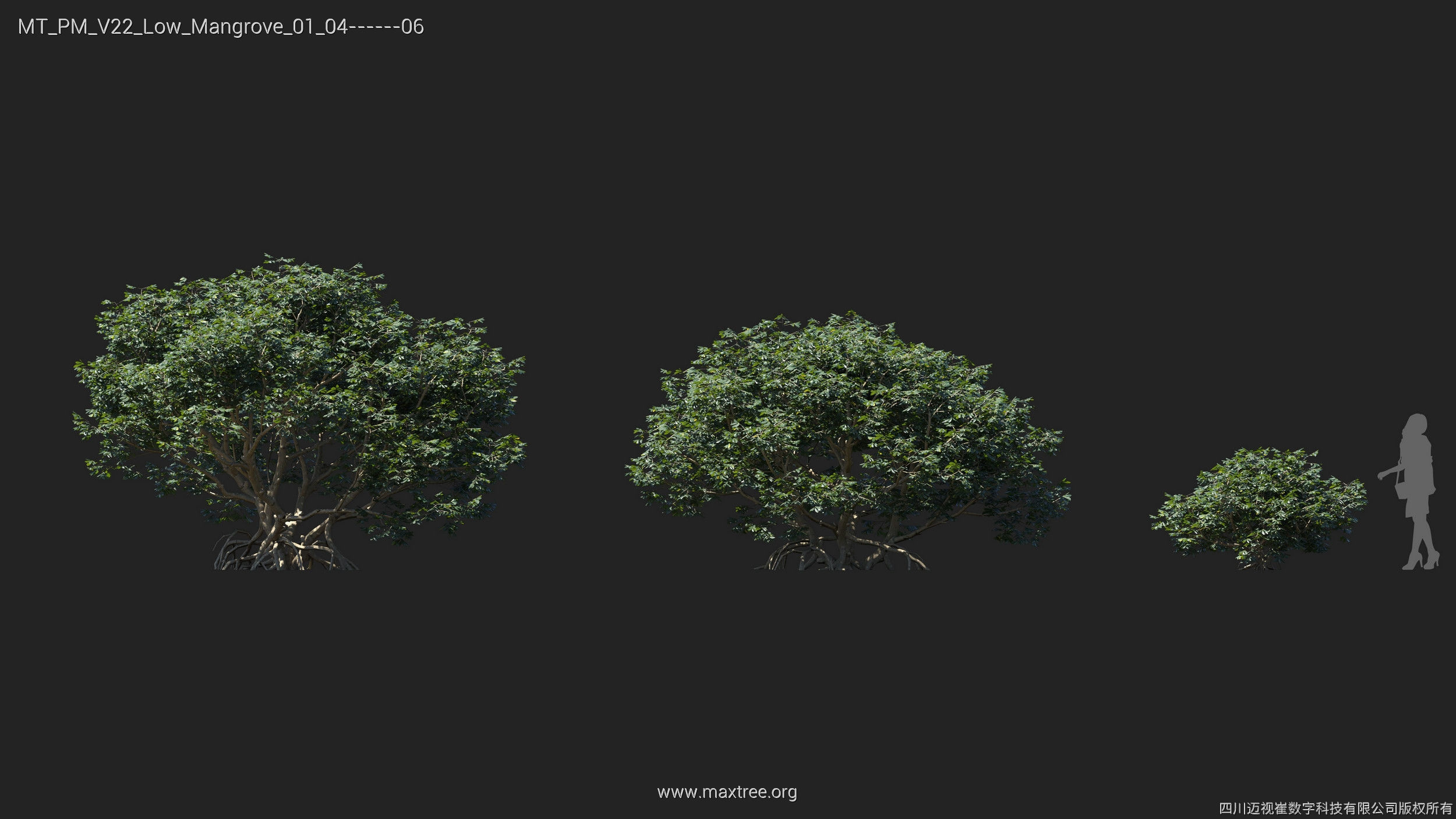 Maxtree Plant Models Vol 22 Low - Mesh 3D model | CGTrader
