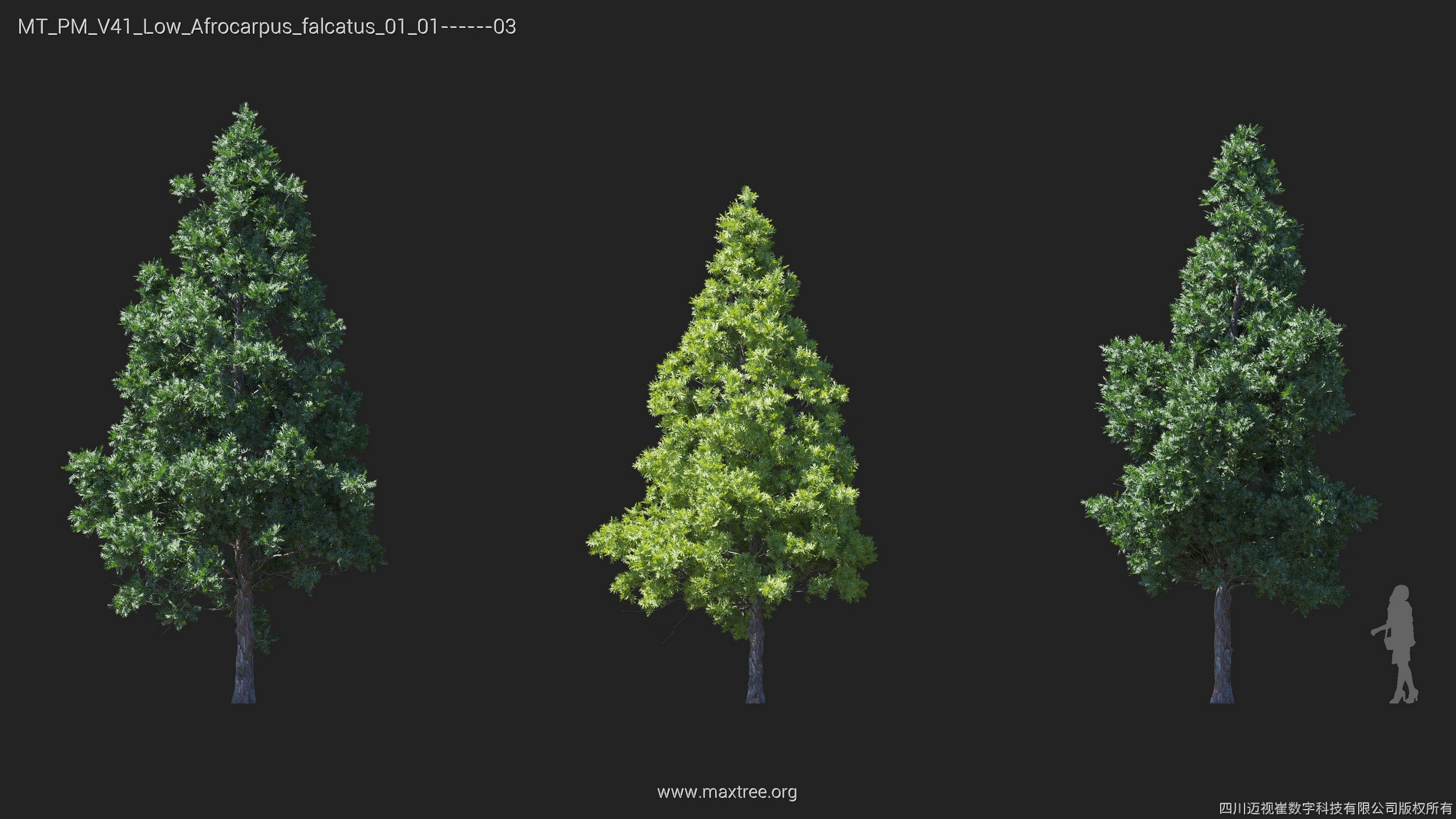 Maxtree Plant Models Vol 41 Low - Mesh 3D model | CGTrader