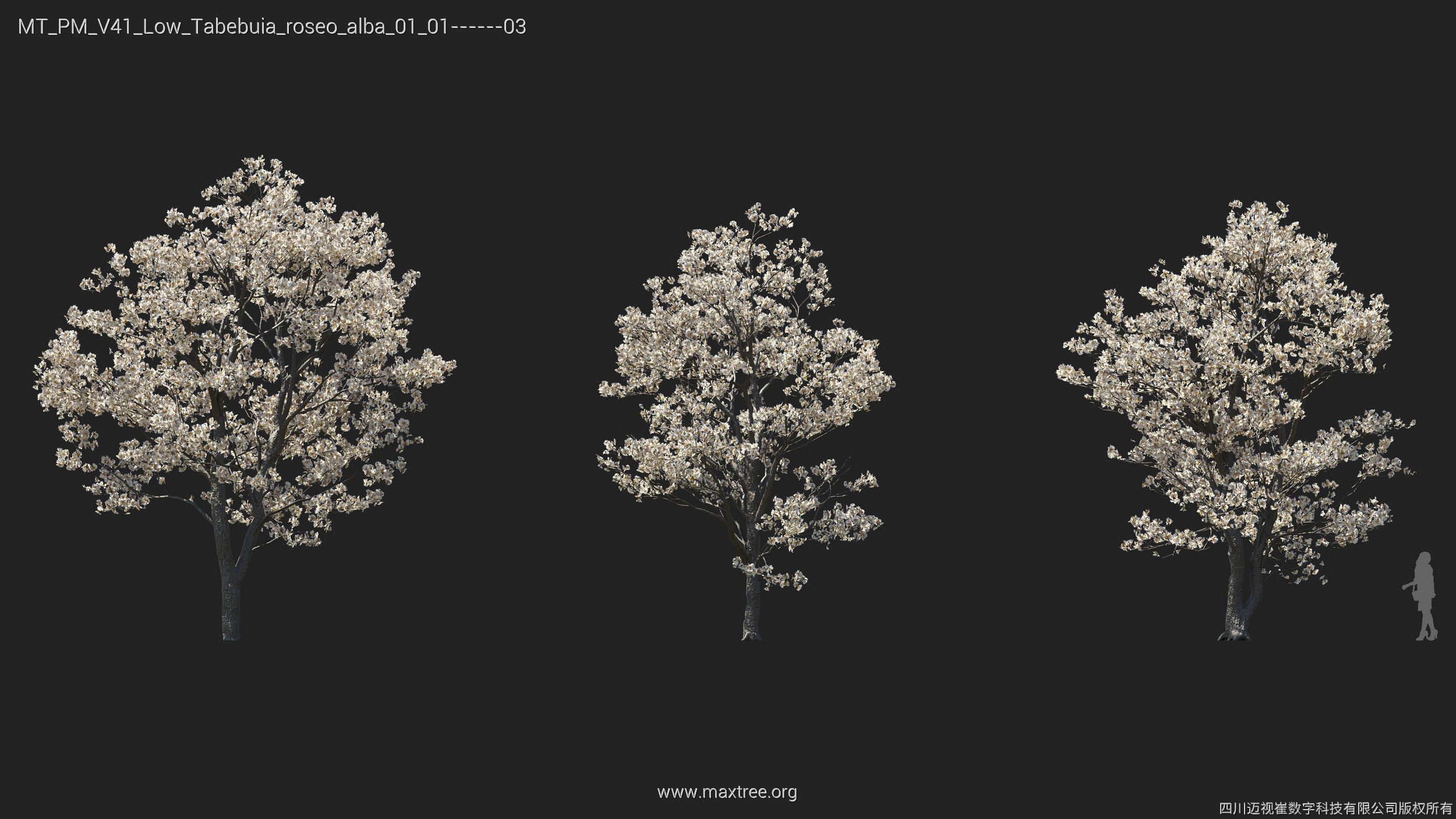 Maxtree Plant Models Vol 41 Low - Mesh 3D model | CGTrader