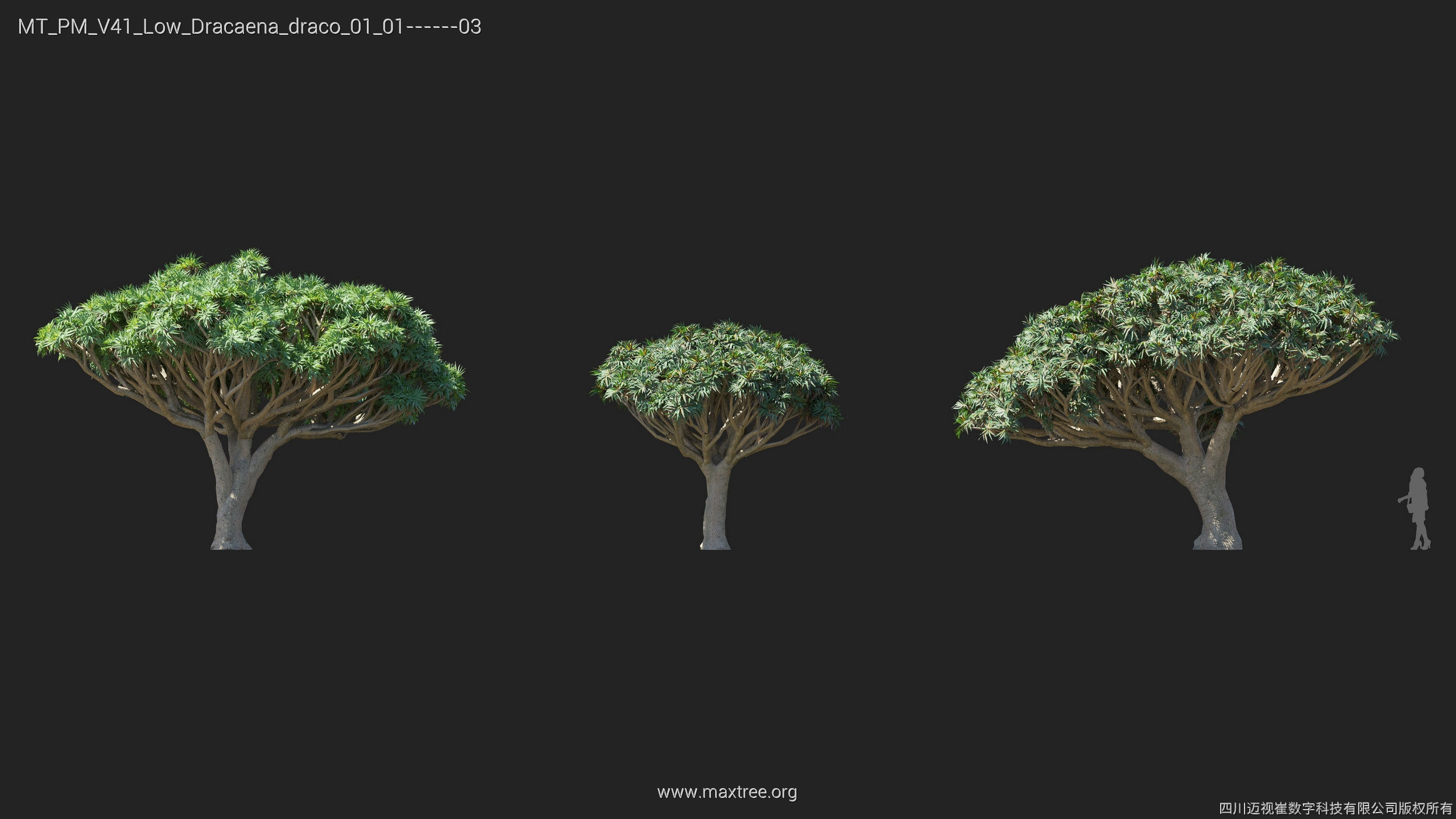 Maxtree Plant Models Vol 41 Low - Mesh 3D model | CGTrader