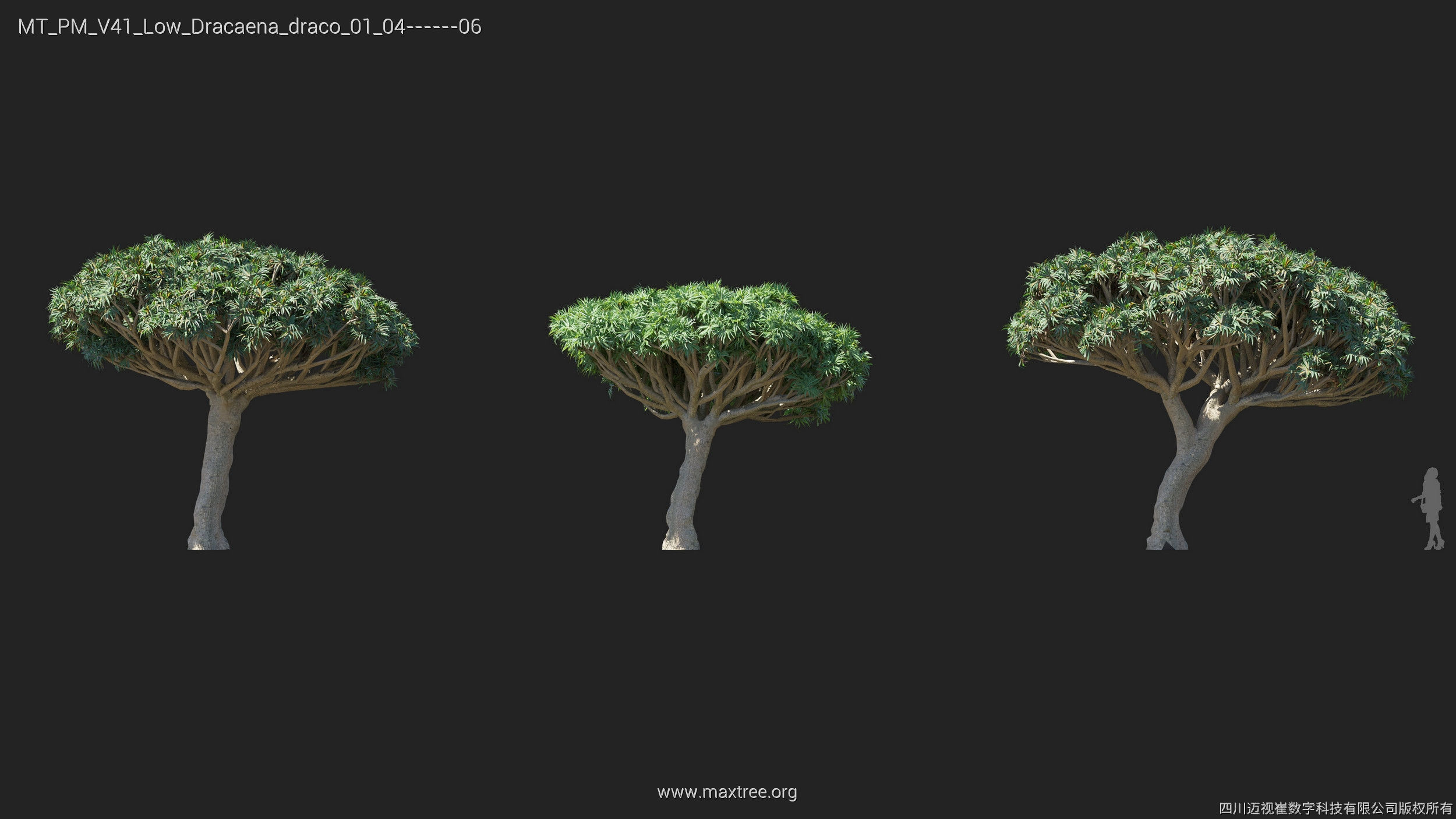 Maxtree Plant Models Vol 41 Low - Mesh 3D model | CGTrader