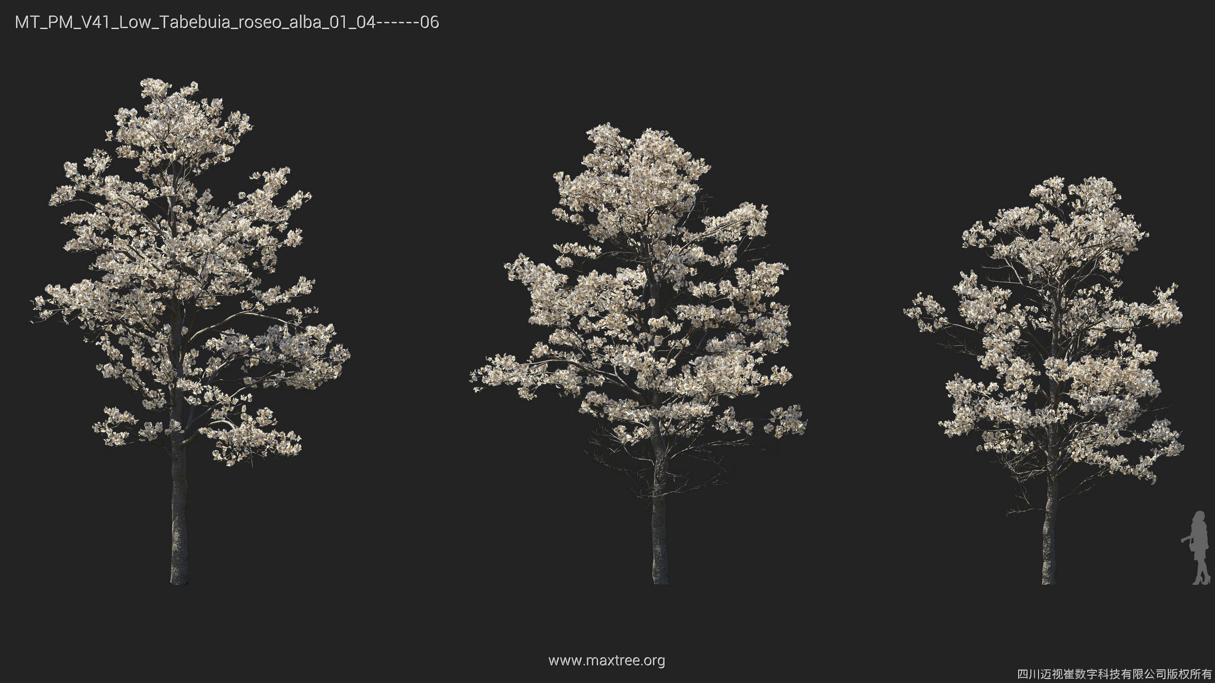 Maxtree Plant Models Vol 41 Low - Mesh 3D model | CGTrader