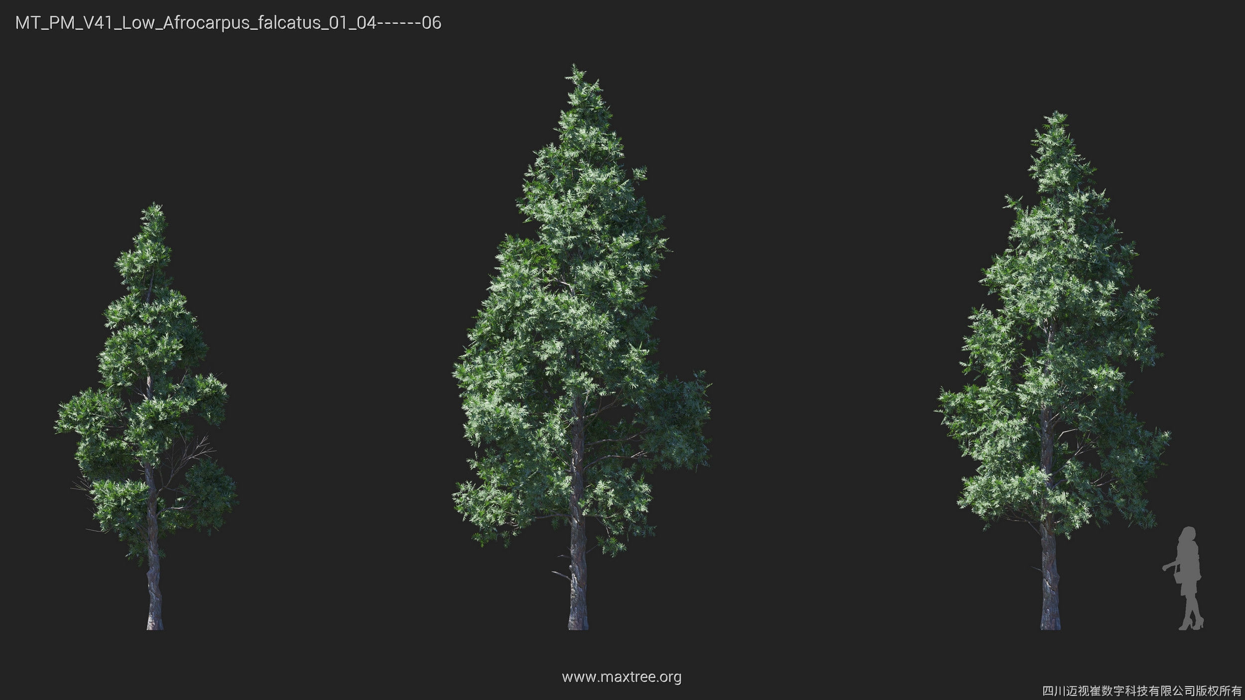 Maxtree Plant Models Vol 41 Low - Mesh 3D model | CGTrader
