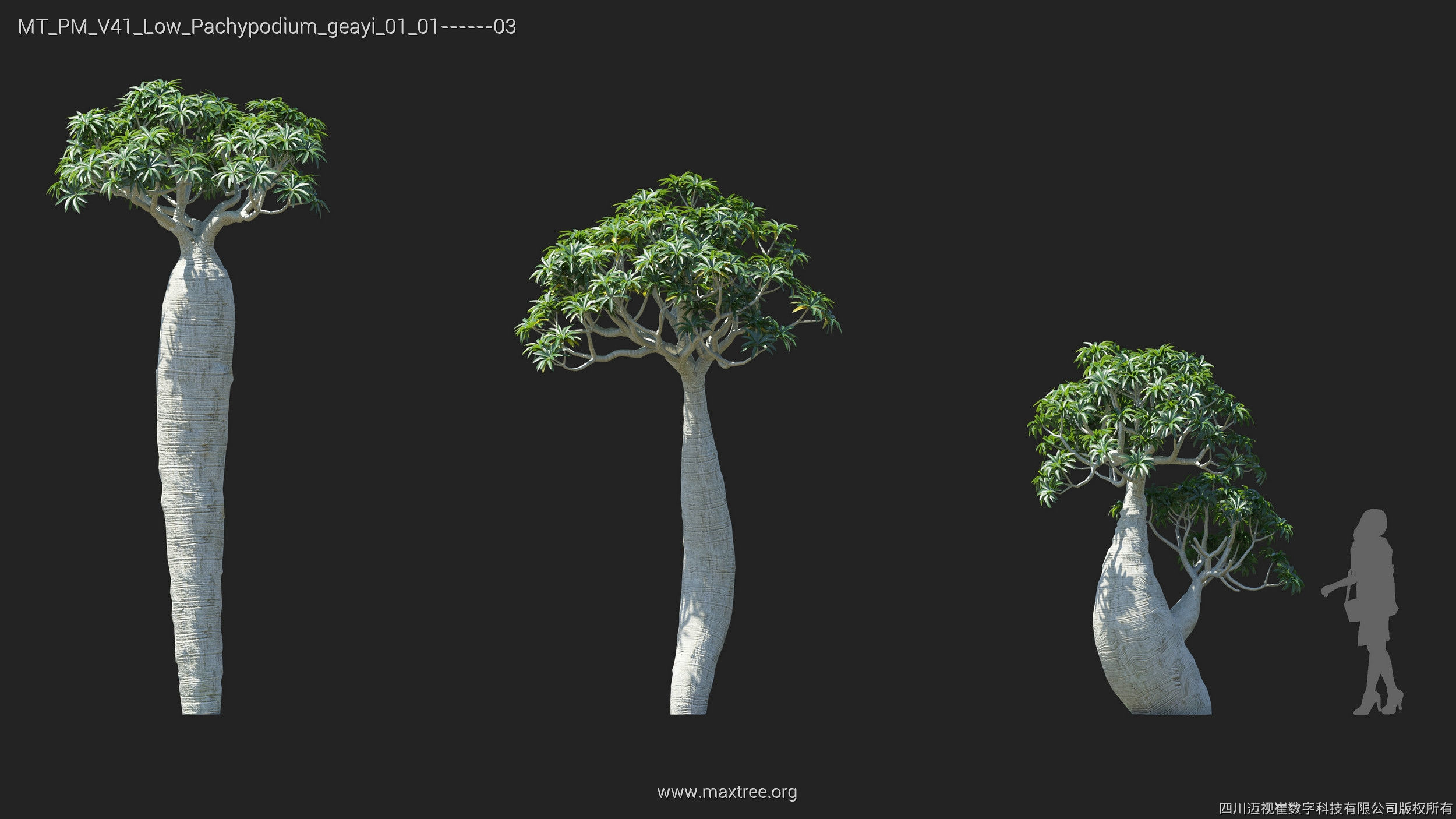 Maxtree Plant Models Vol 41 Low - Mesh 3D model | CGTrader