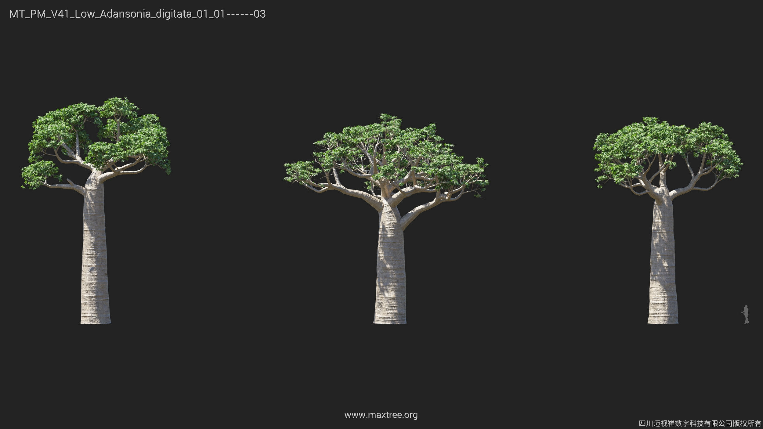 Maxtree Plant Models Vol 41 Low - Mesh 3D model | CGTrader