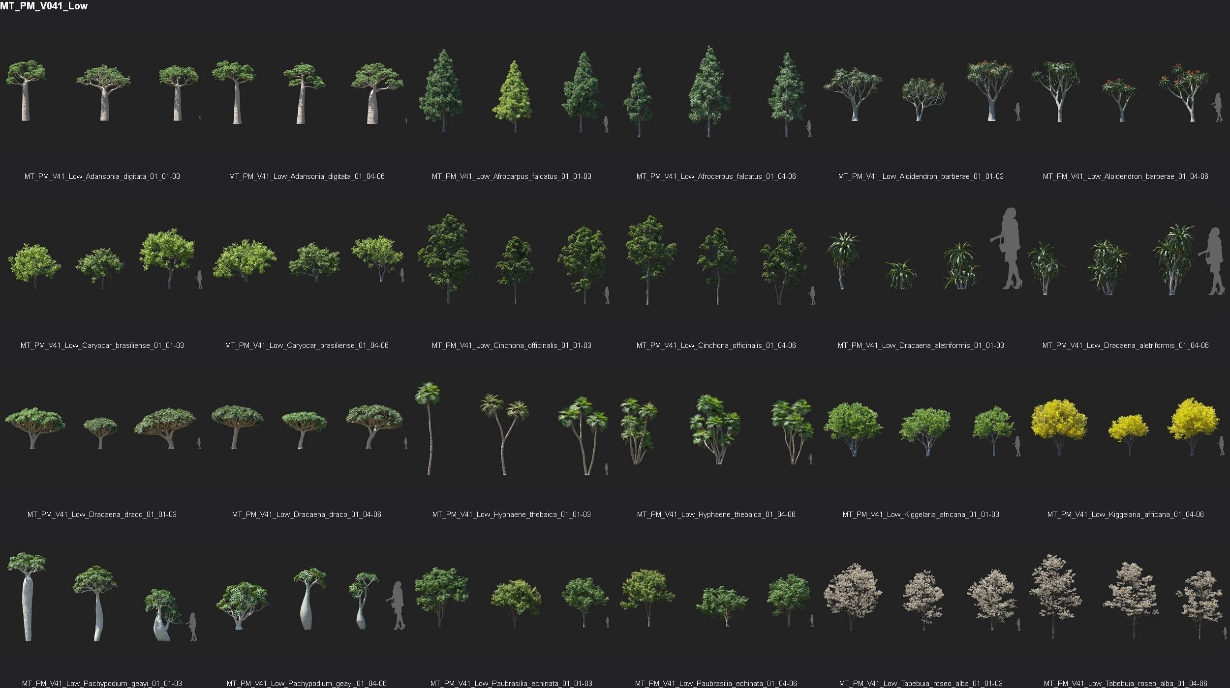 Maxtree Plant Models Vol 41 Low - Mesh 3D model | CGTrader