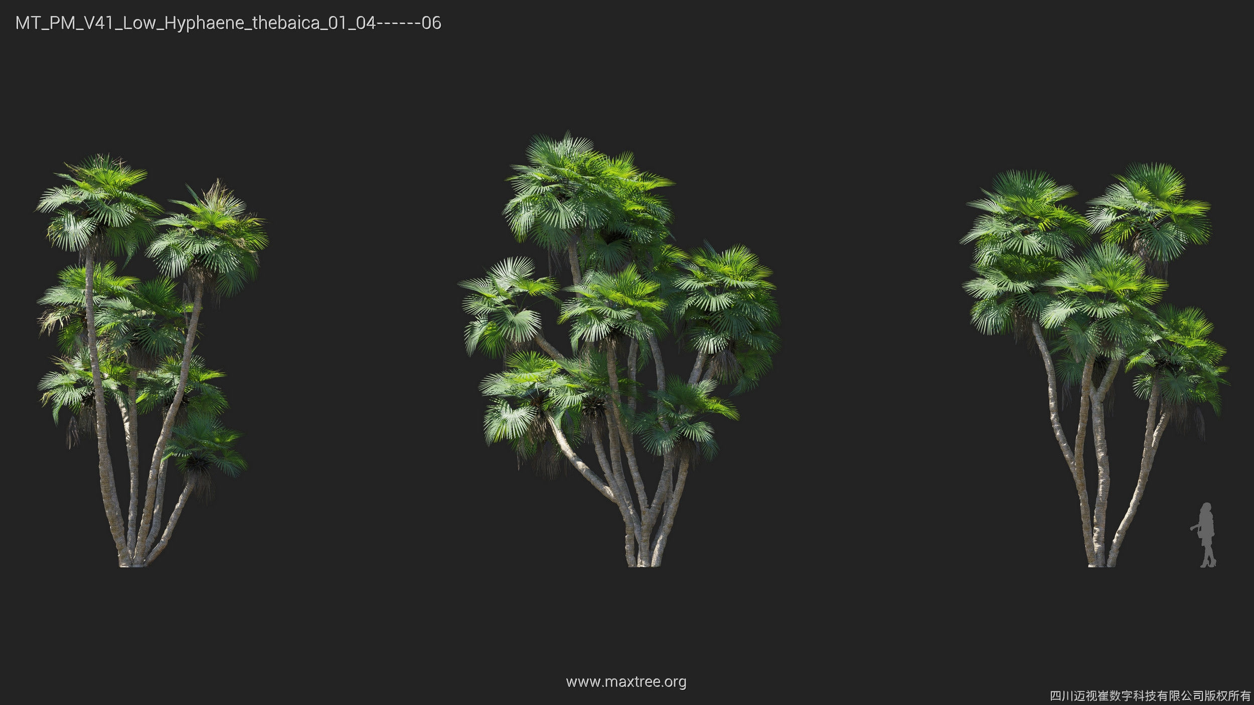 Maxtree Plant Models Vol 41 Low - Mesh 3D model | CGTrader