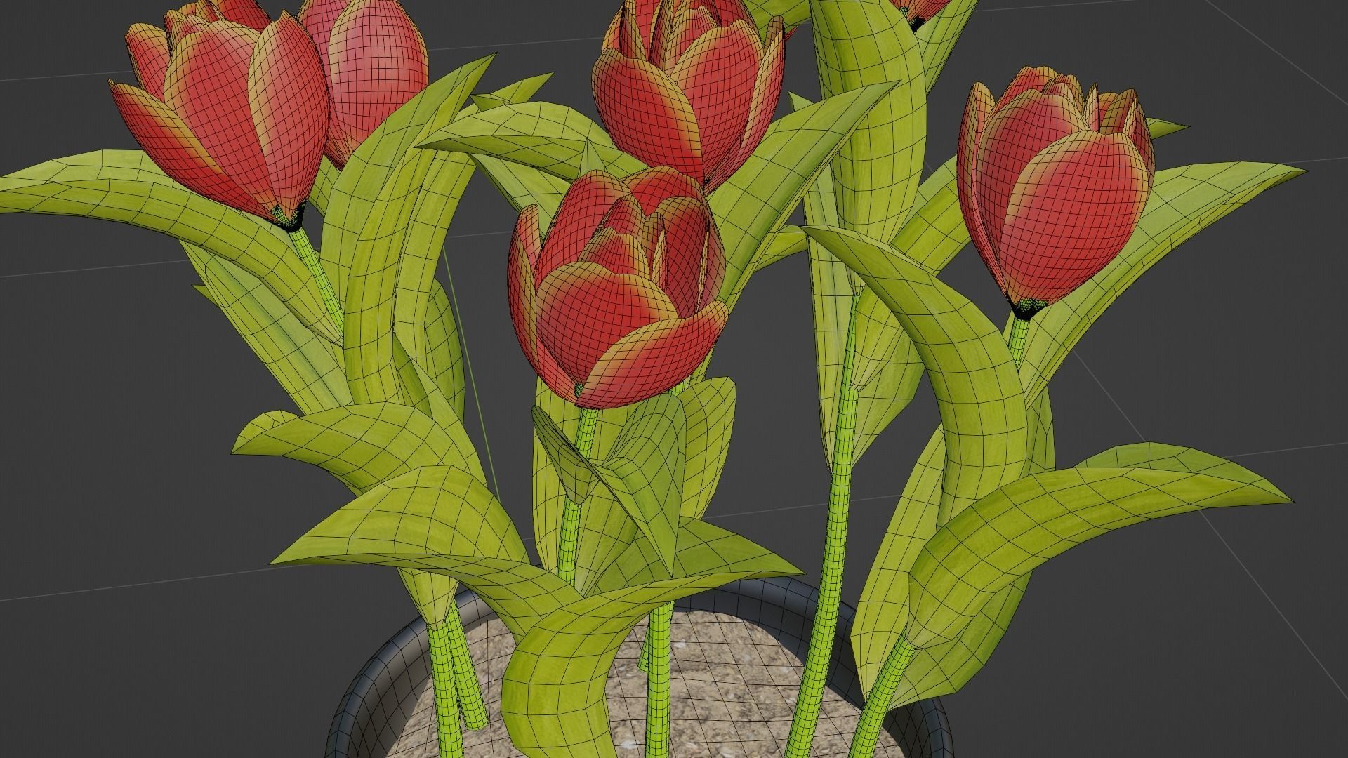 3D model Tulips Plant VR / AR / low-poly | CGTrader