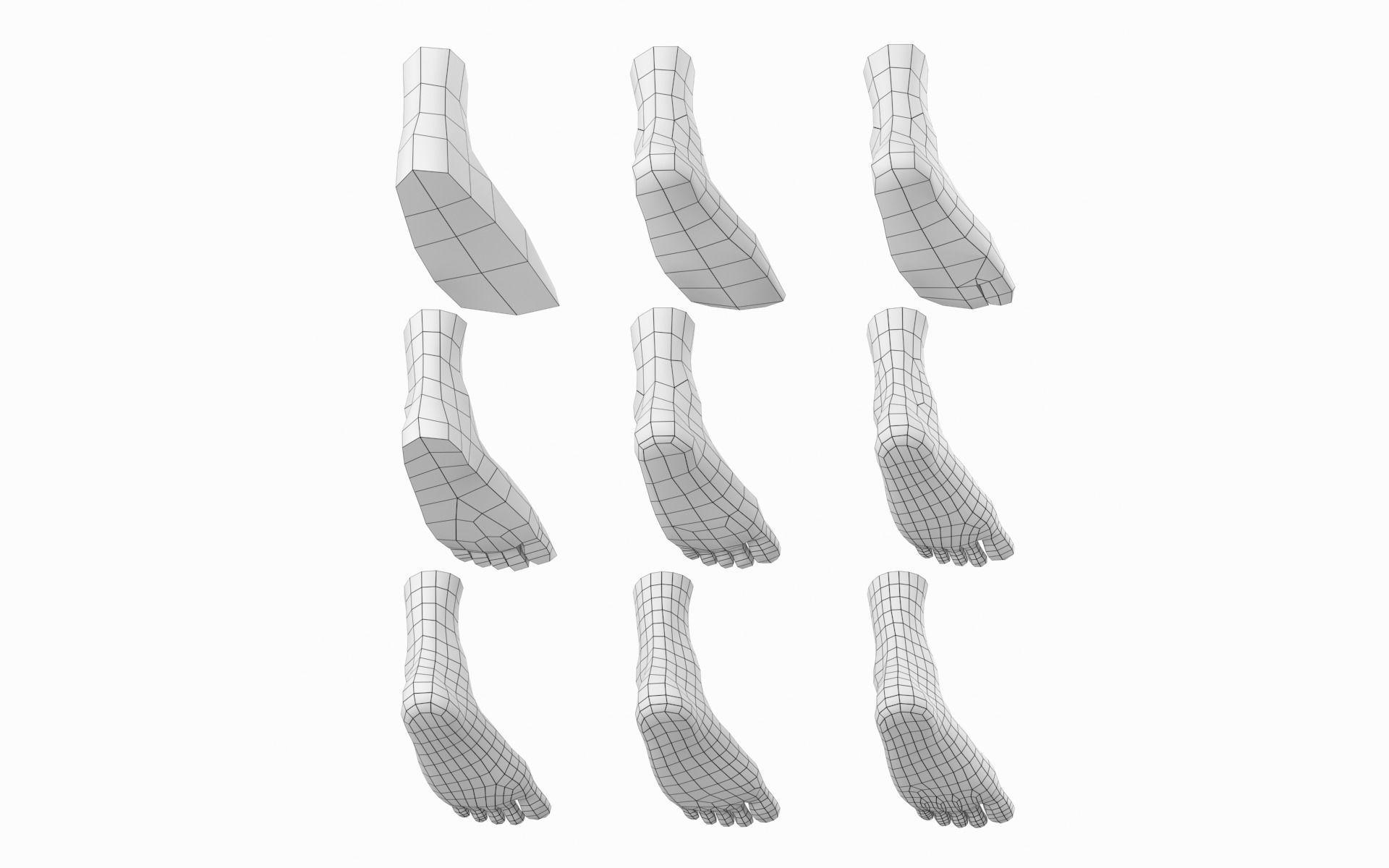 Foot Base Mesh Kit 3D model | CGTrader