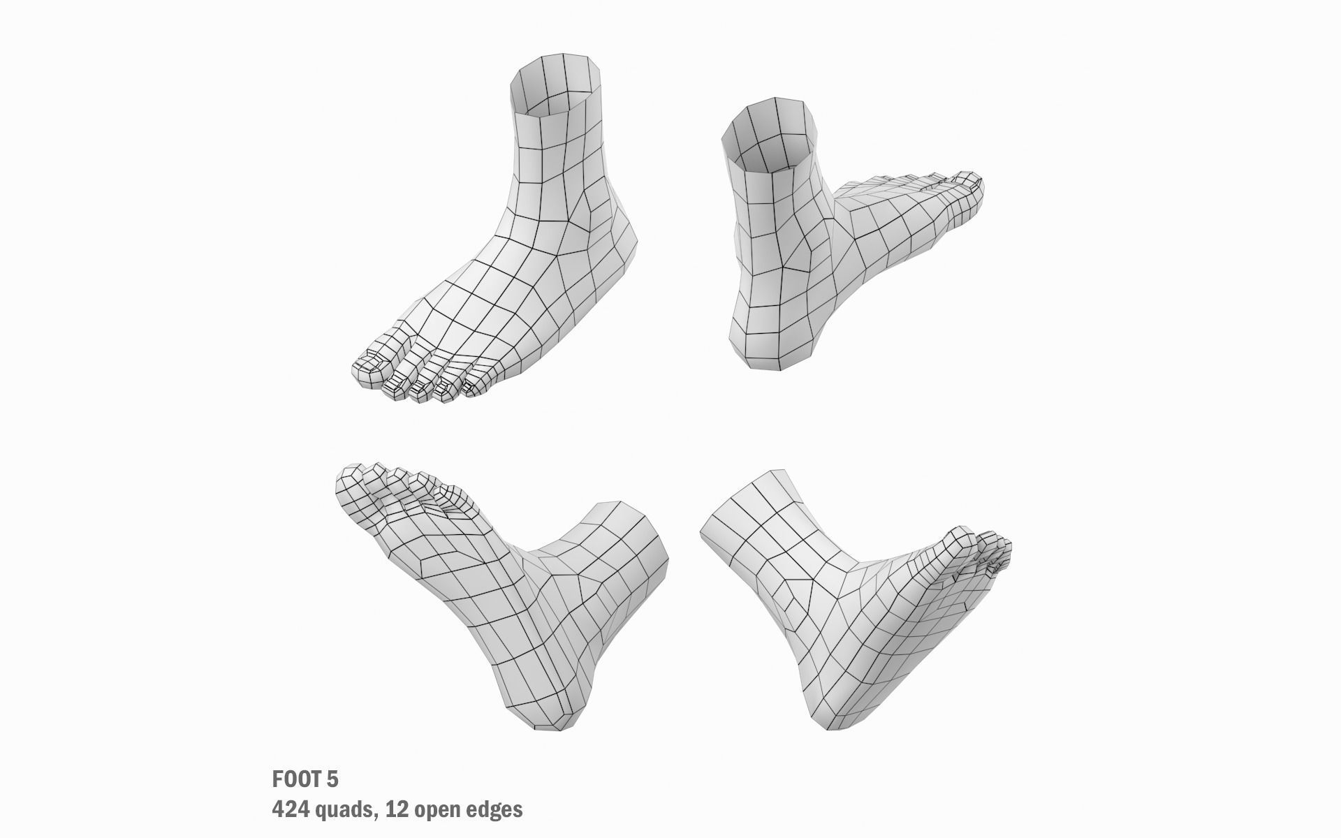 Foot Base Mesh Kit 3D model | CGTrader