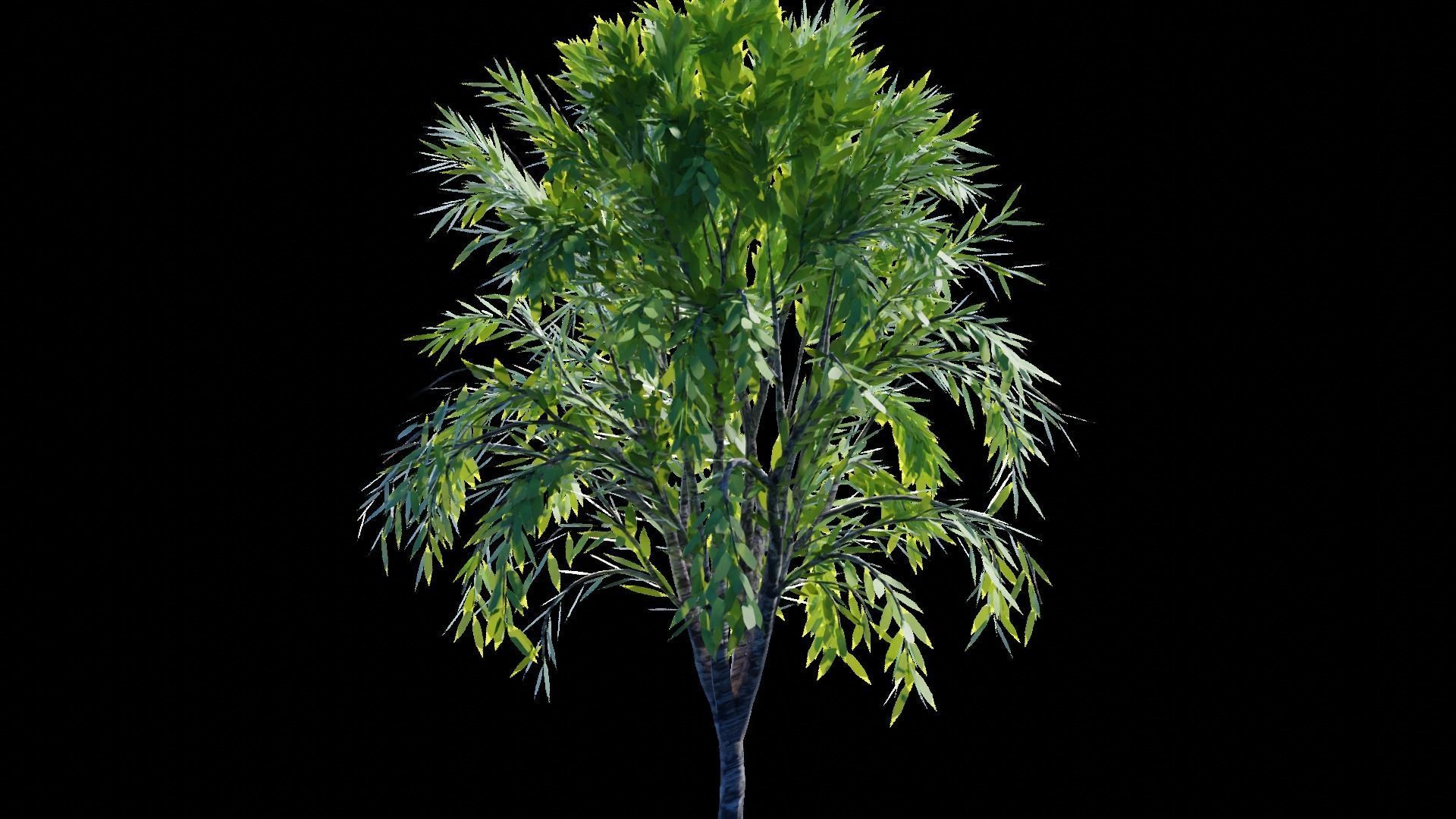 Realistic Tree free VR / AR / low-poly 3D model animated rigged | CGTrader