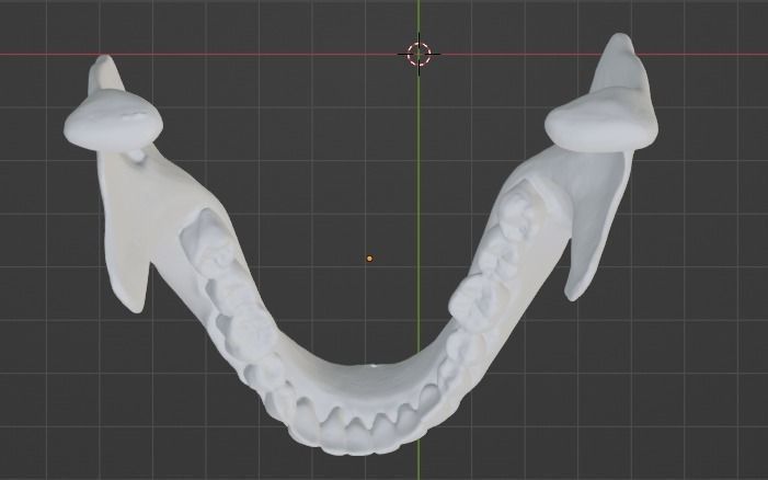 3D Human Skull with Cap and Mandible 3D model 3D printable | CGTrader