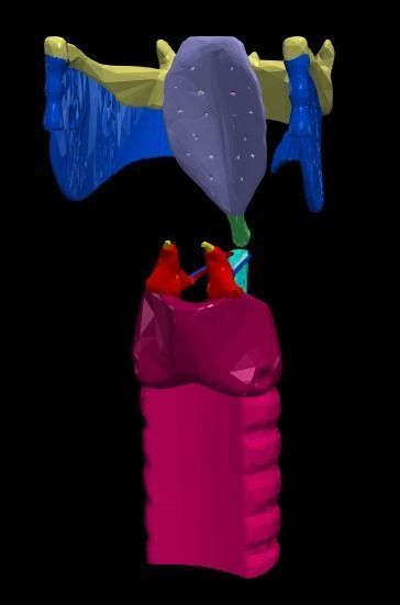 3D Model of Larynx 3D model 3D printable | CGTrader