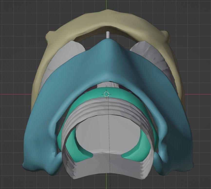 3D Model of Larynx 3D model 3D printable | CGTrader