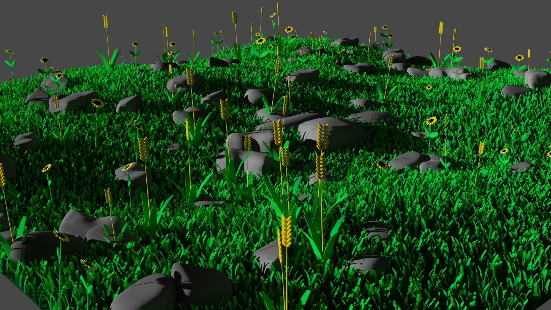 field with flowers free 3D model | CGTrader