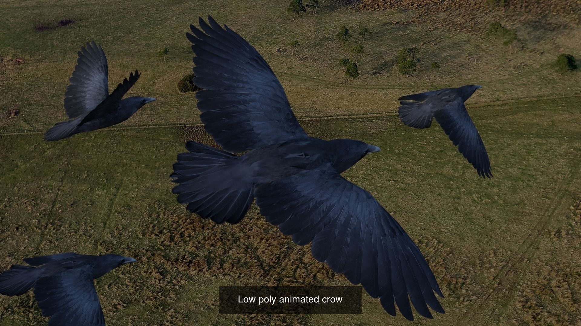 3D Model Collection Low Poly Flying birds VR / AR / low-poly | CGTrader