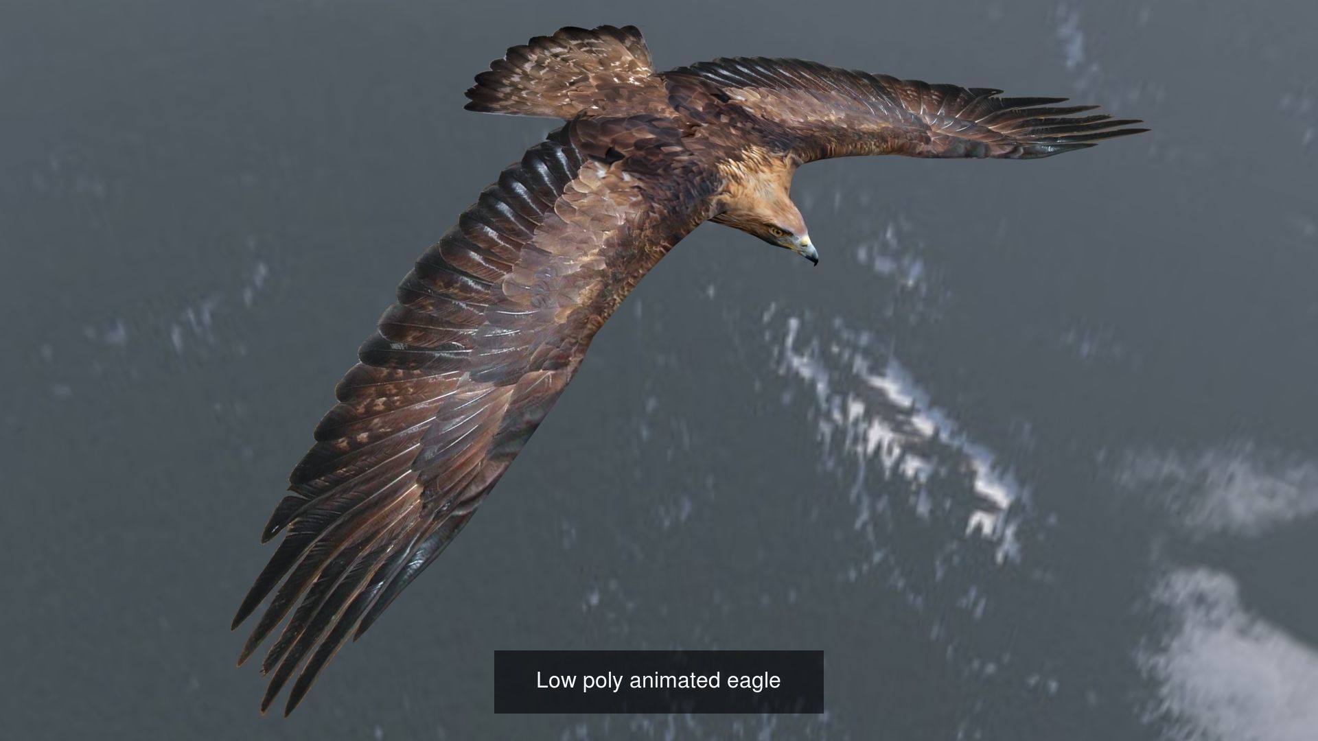 3D Model Collection Low Poly Flying birds VR / AR / low-poly | CGTrader