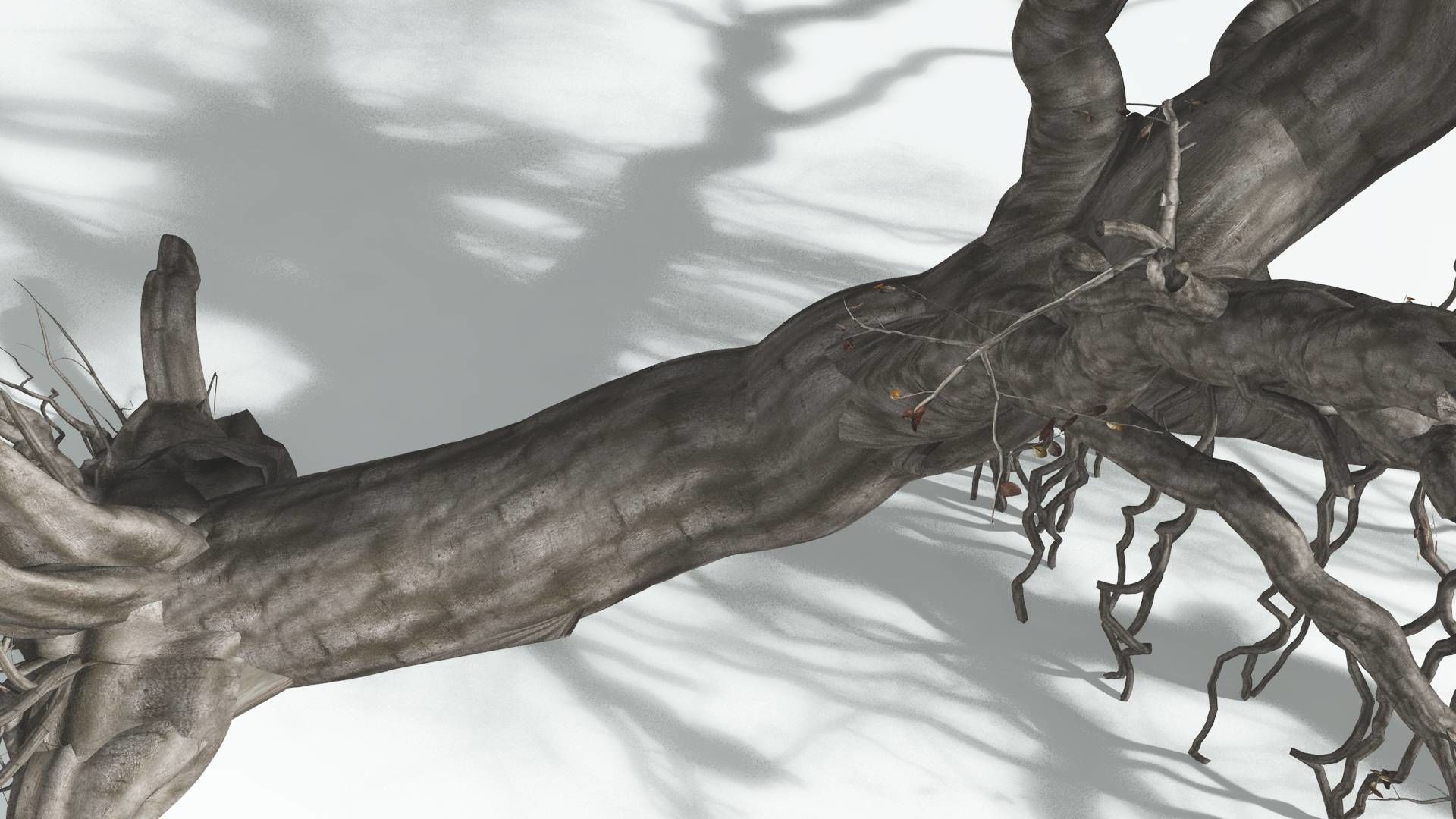 EVERYPlant Indian Rubber Tree 3 --16 Models-- 3D model | CGTrader