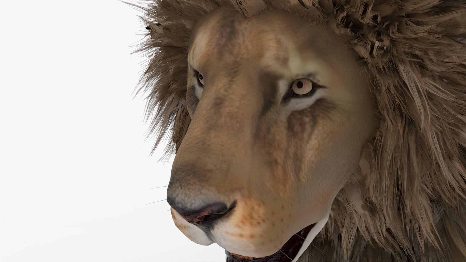 Realistic Scan Lion 3D model | CGTrader