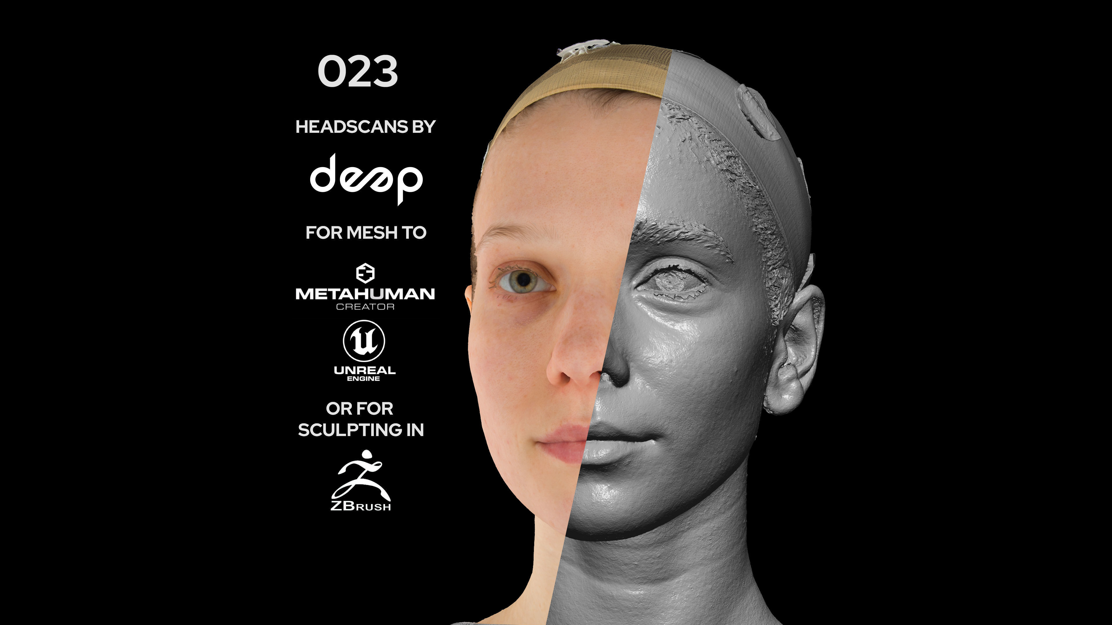 European Female 30s head scan 023 3D model | CGTrader