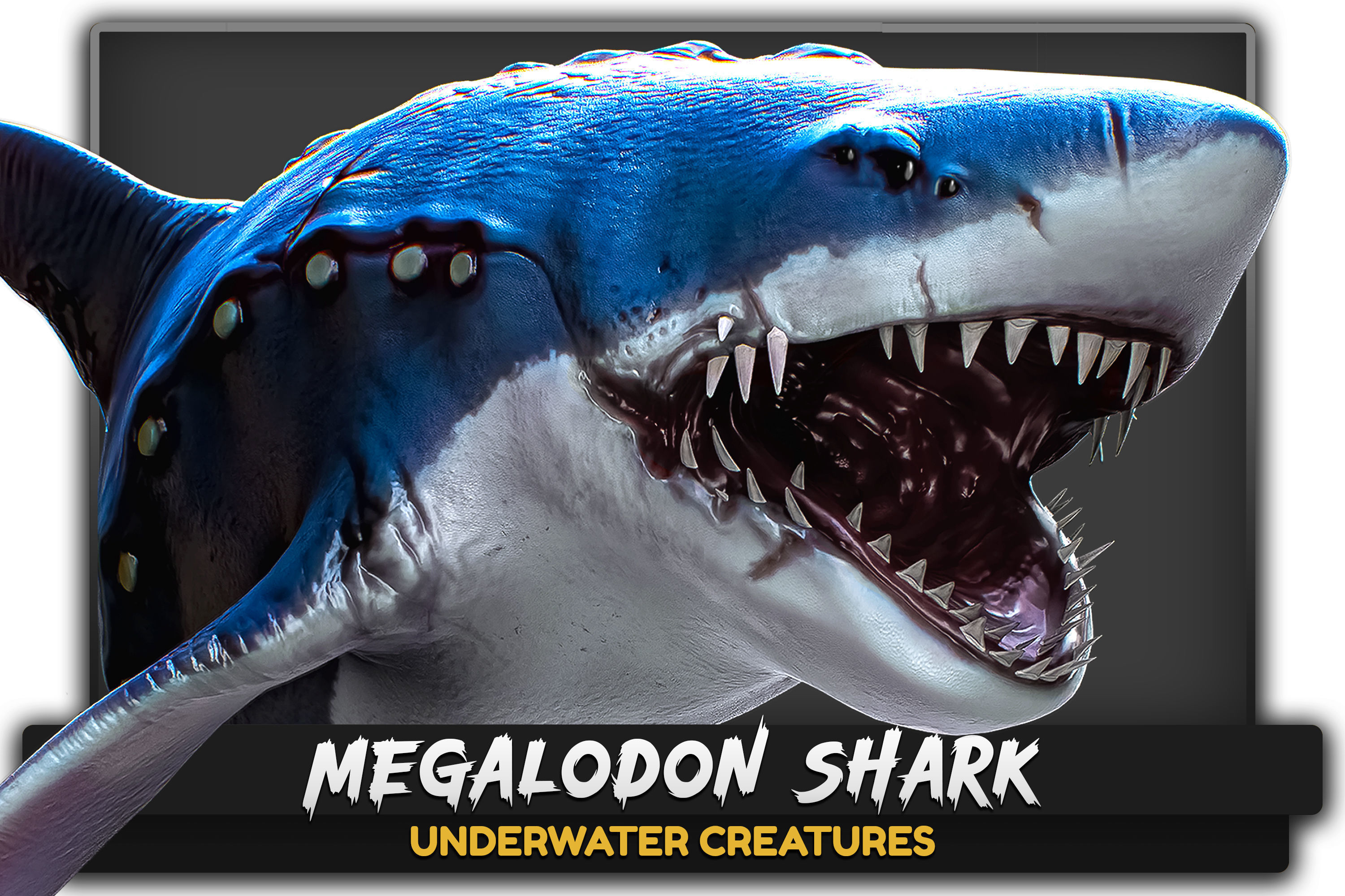 3D model Megalodon Shark Model GameReady Ocean Predator Low poly fish ...