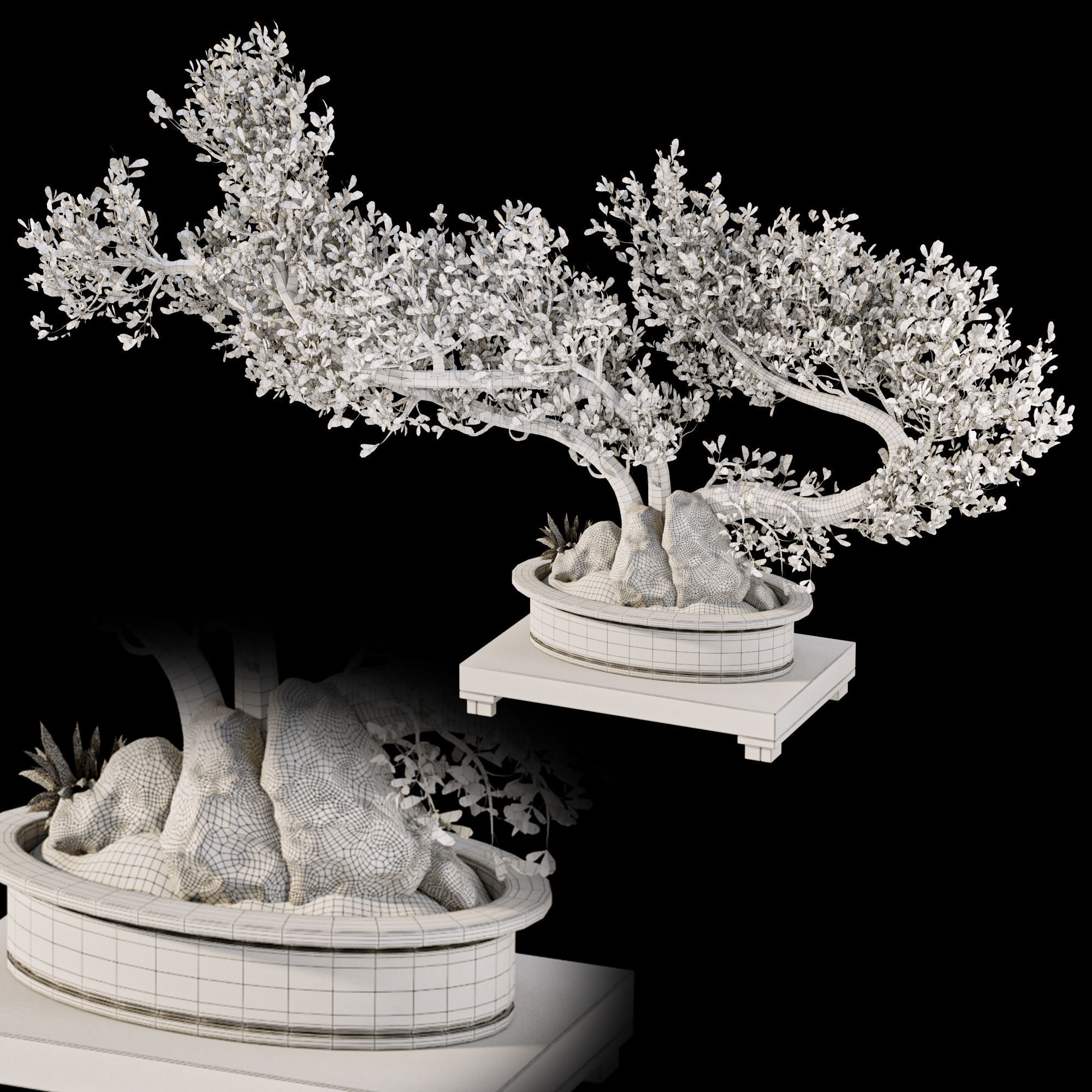 Bonsai Tree 104 ancient olive tree 3D model | CGTrader
