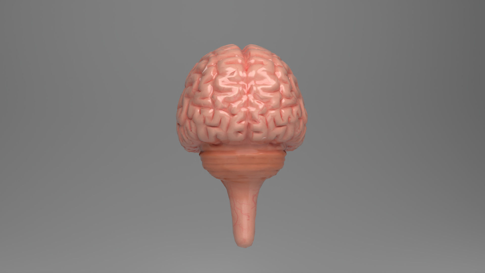 Brain High Poly 3D model | CGTrader