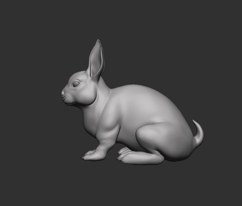 Rabbit 3D model | CGTrader