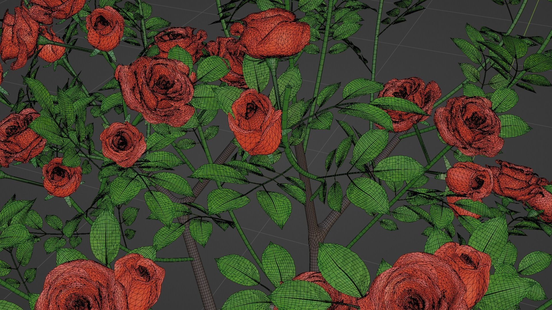 Rose Plant 3D model | CGTrader