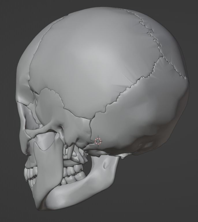 3D Model of Skull Bones 3D model 3D printable | CGTrader