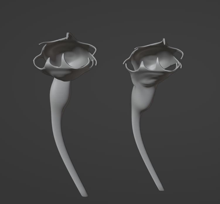 carnivorous flower Drosera 3D model | CGTrader