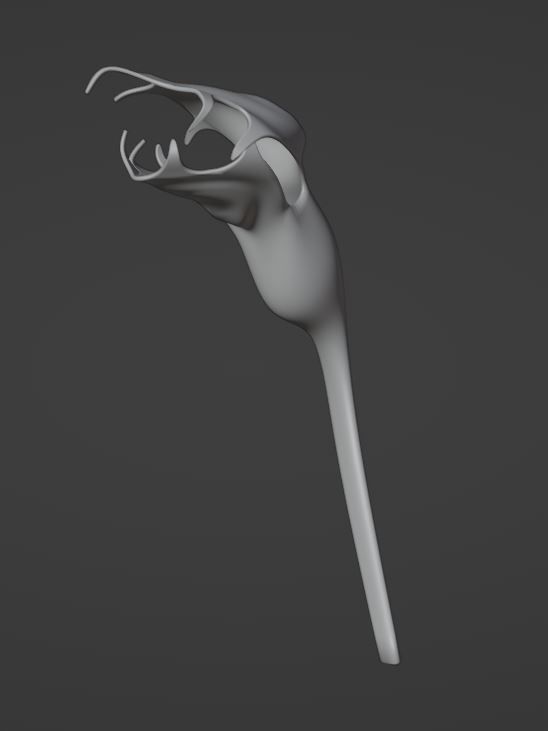 carnivorous flower Drosera 3D model | CGTrader