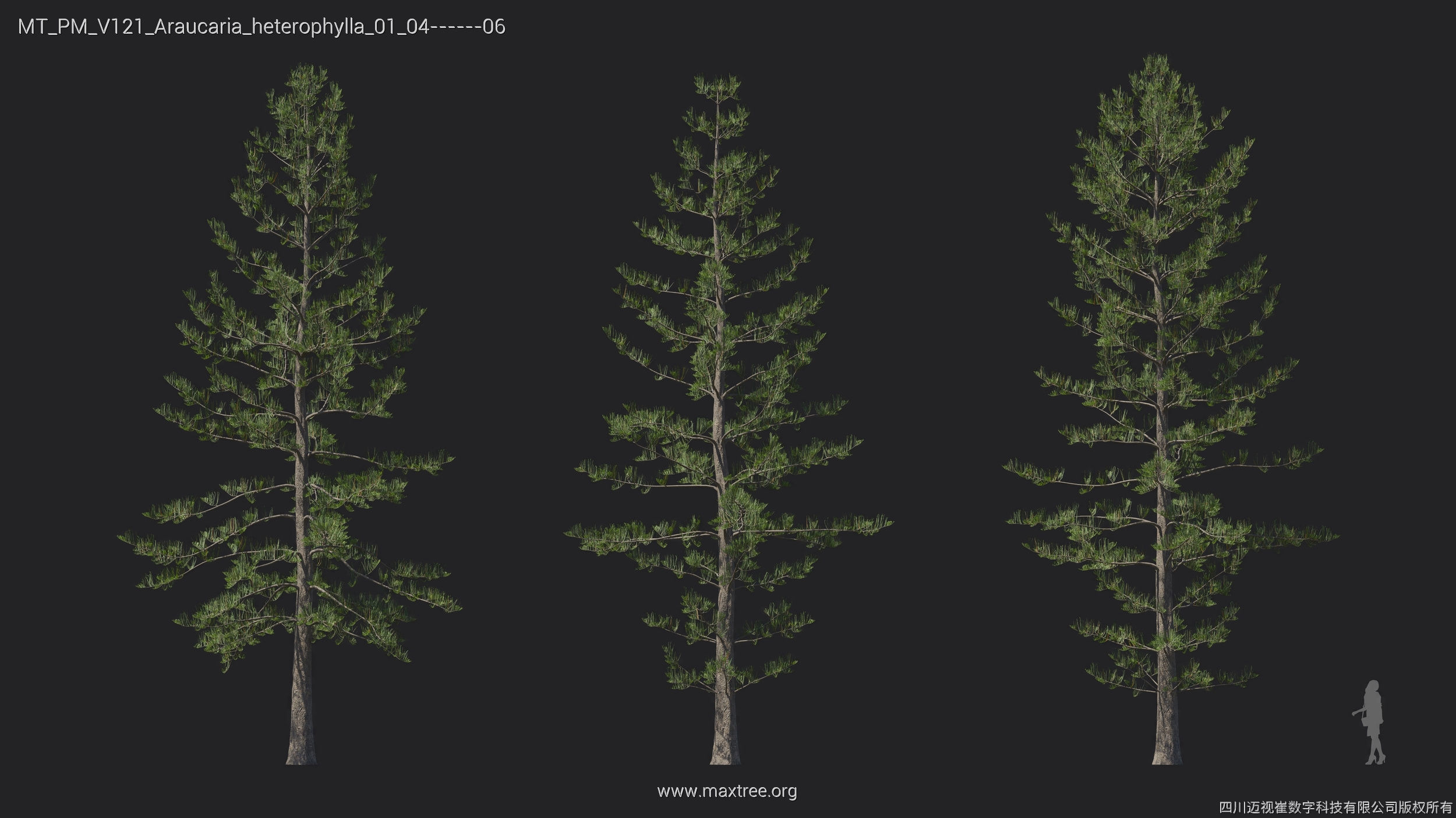 Maxtree Plant Models Vol 121 - Mesh 3D model | CGTrader