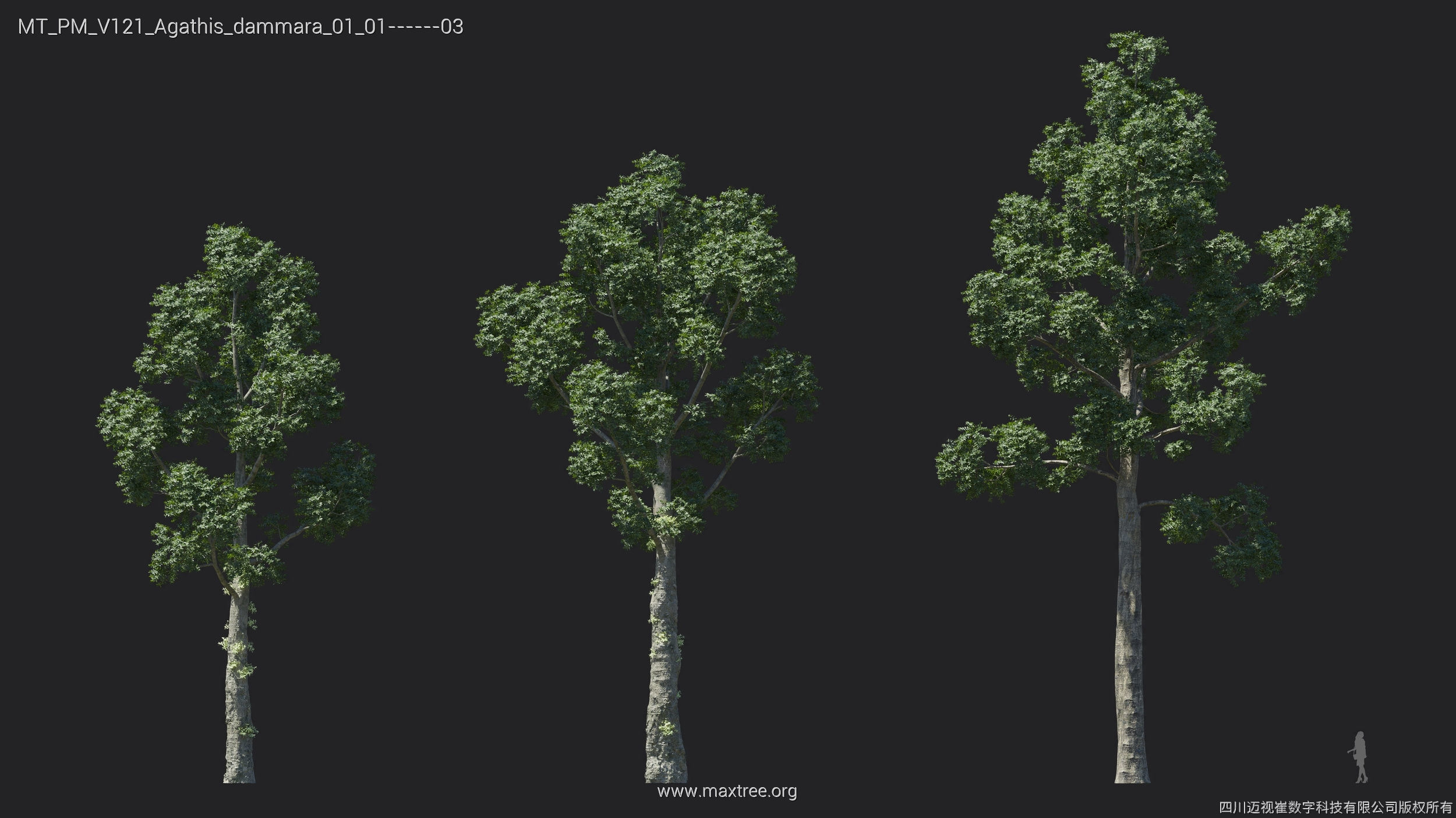 Maxtree Plant Models Vol 121 - Mesh 3D model | CGTrader