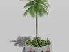 3D model Palm Trees Pack 3d models VR / AR / low-poly | CGTrader