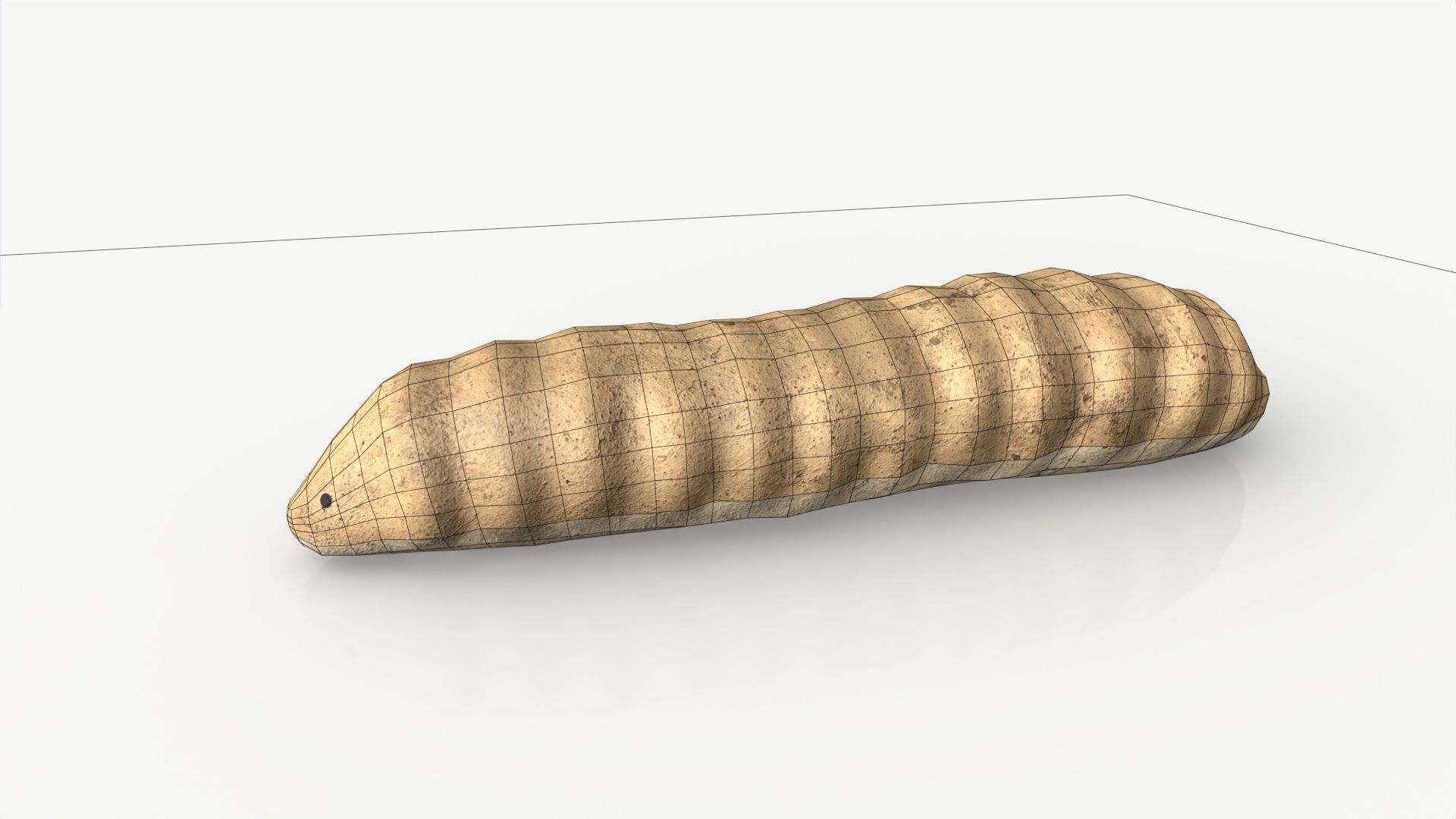 Worm FREE free VR / AR / low-poly 3D model | CGTrader