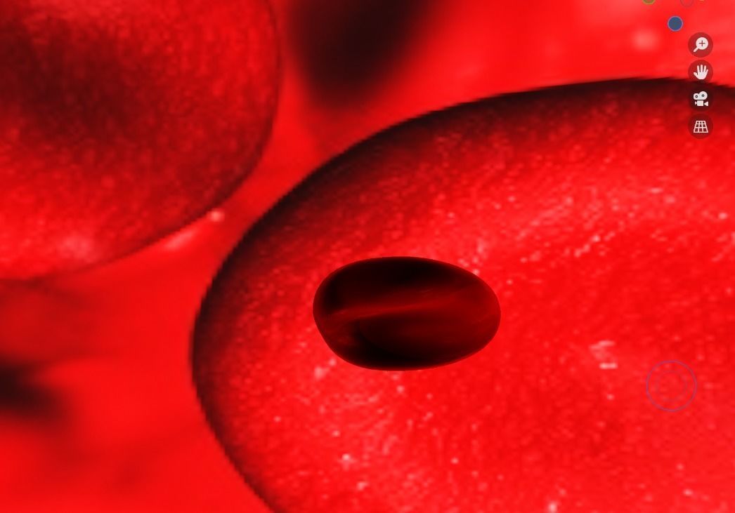Red Blood Cell 3D model 3D printable | CGTrader