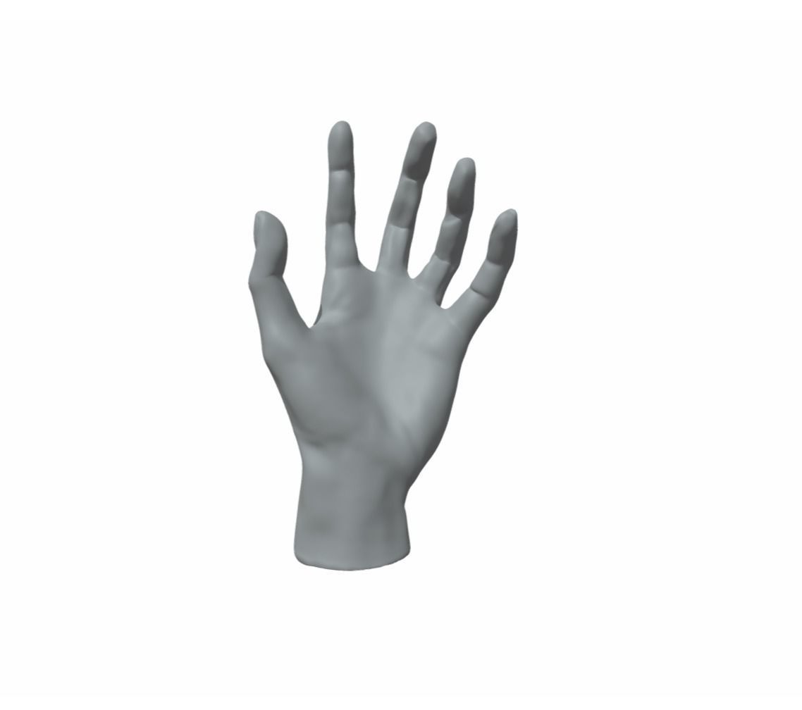 Hand female 3D model 3D printable | CGTrader
