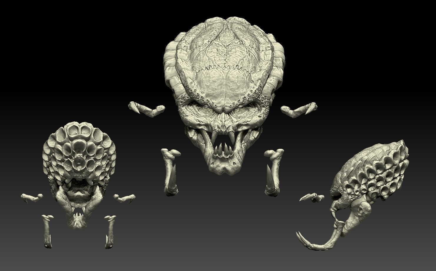 predator skull yautja prey 3D model 3D printable | CGTrader