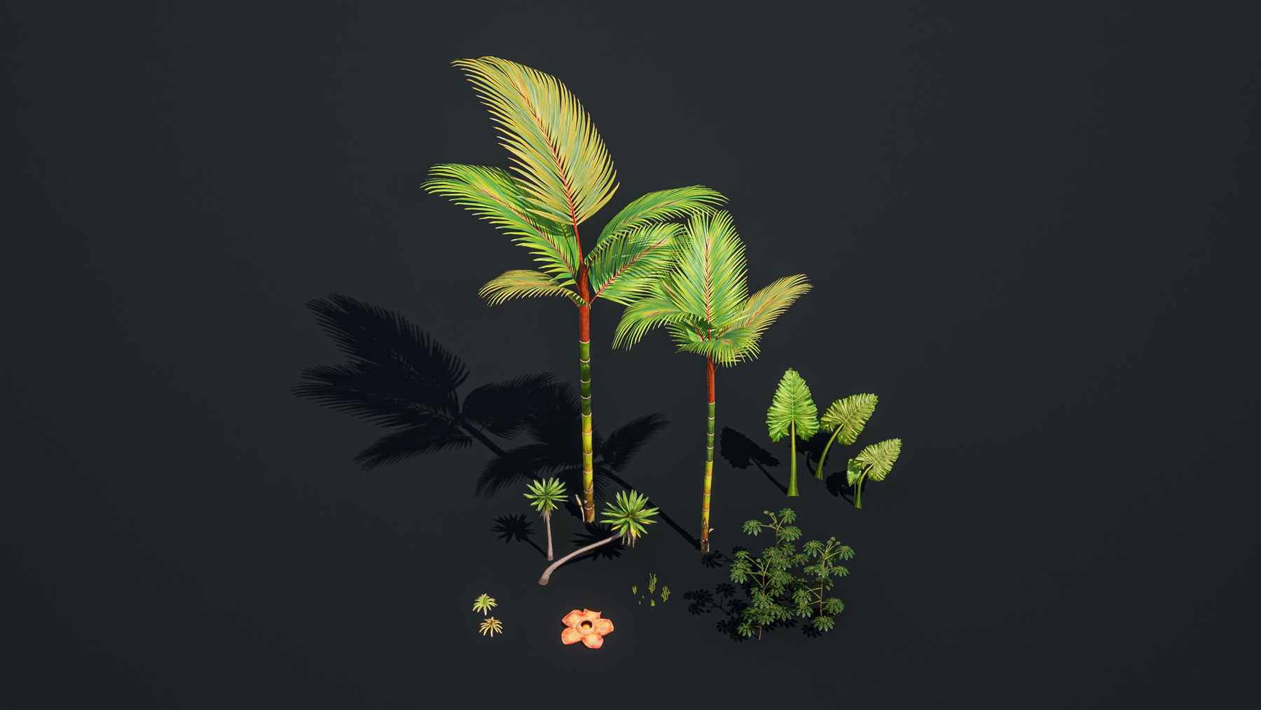 World Pack Jungle Vol 2 3D model | CGTrader